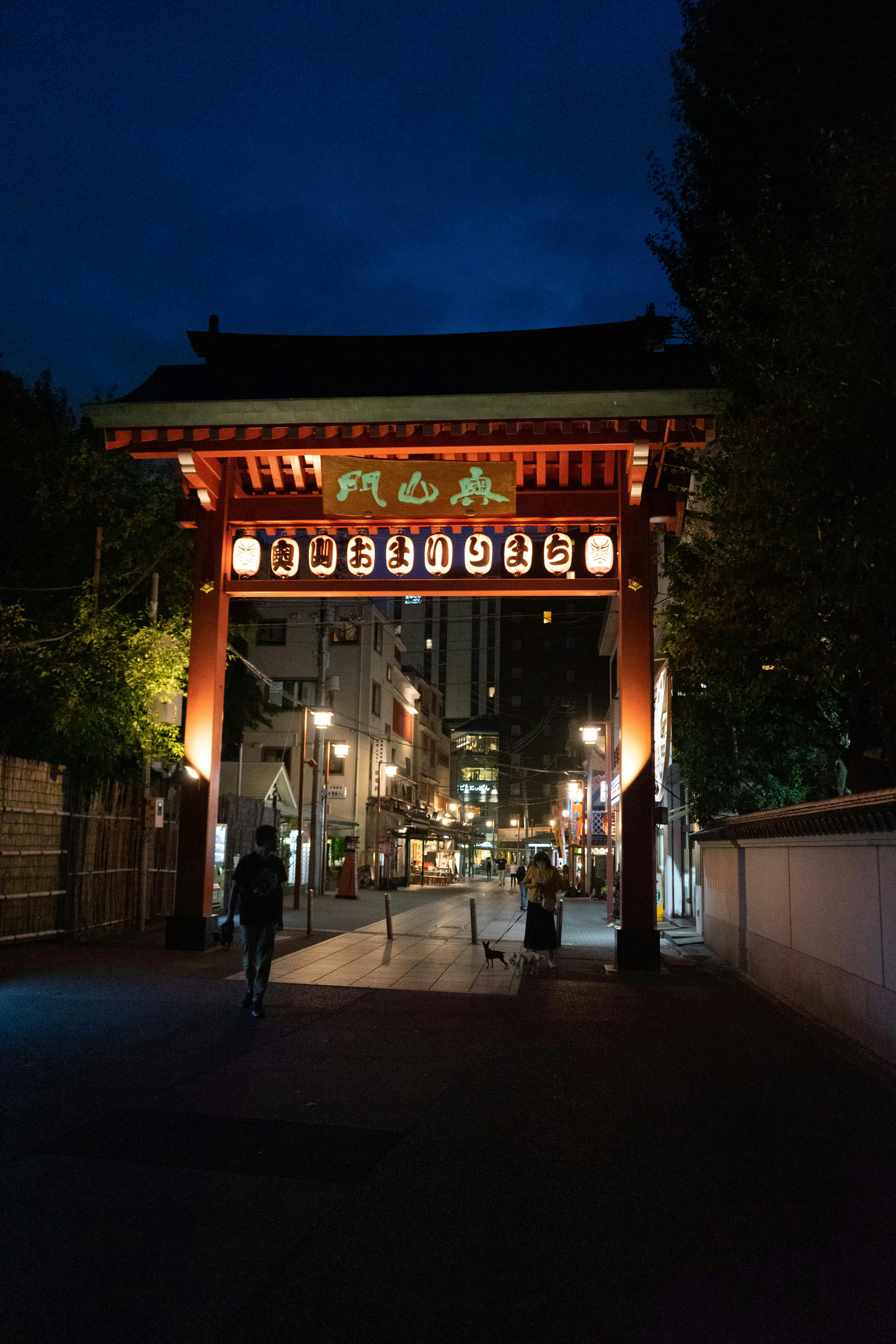 Night Gate into a Lantern-Softened Corridor