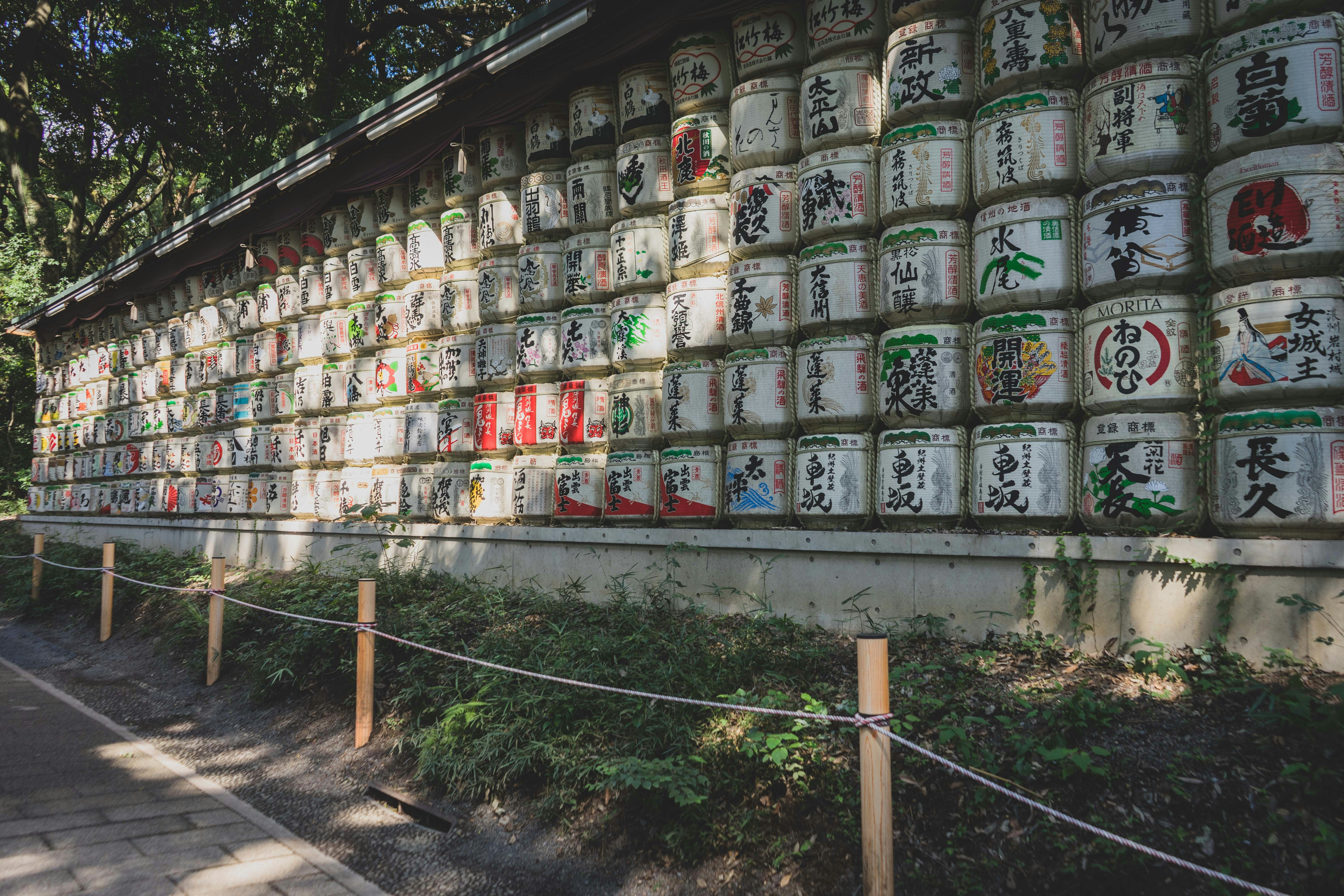 Photo by Caroline Roose with Sony Alpha 7 II