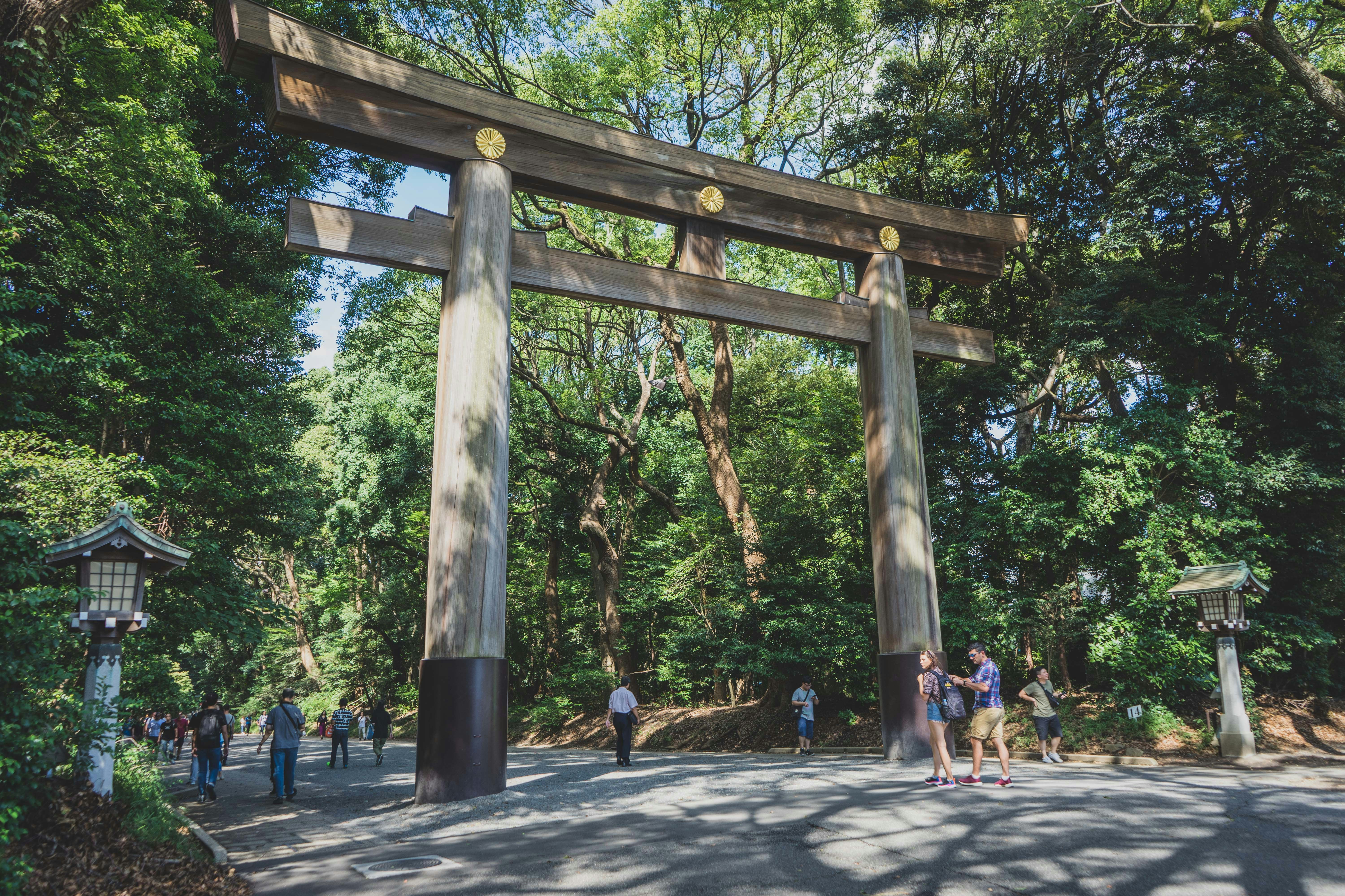 Ancient Gateway Beneath a Canopy of Green