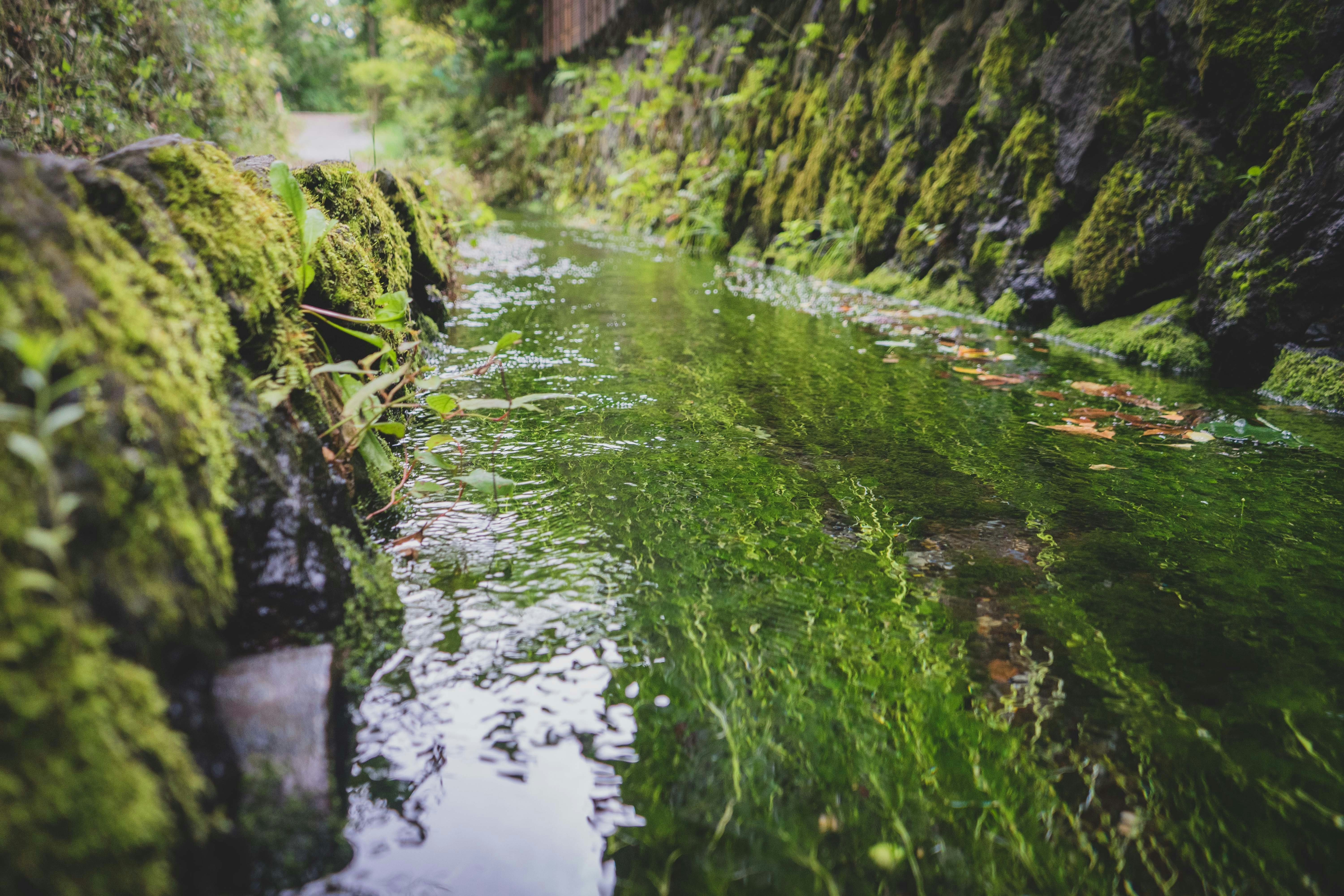 Photo by Caroline Roose with Sony Alpha 7 II