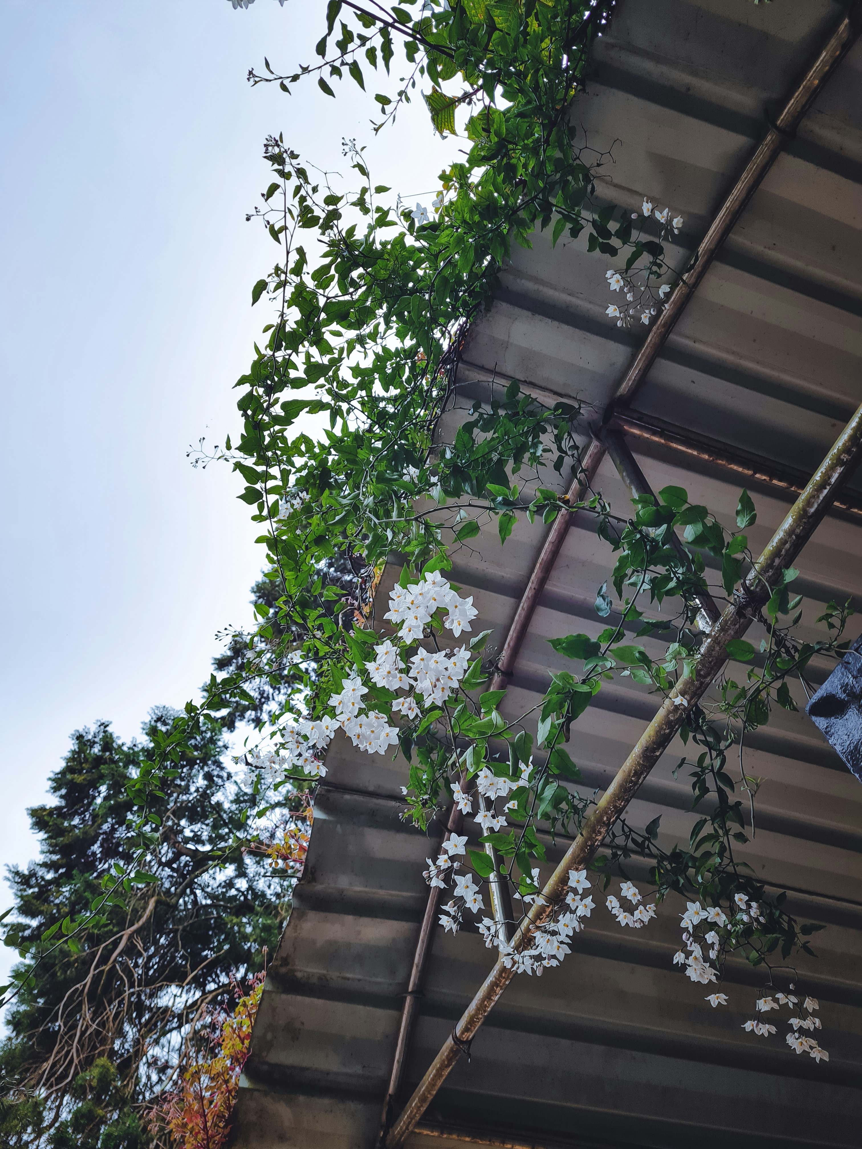 Photo by Baesil with Samsung Galaxy S20 FE