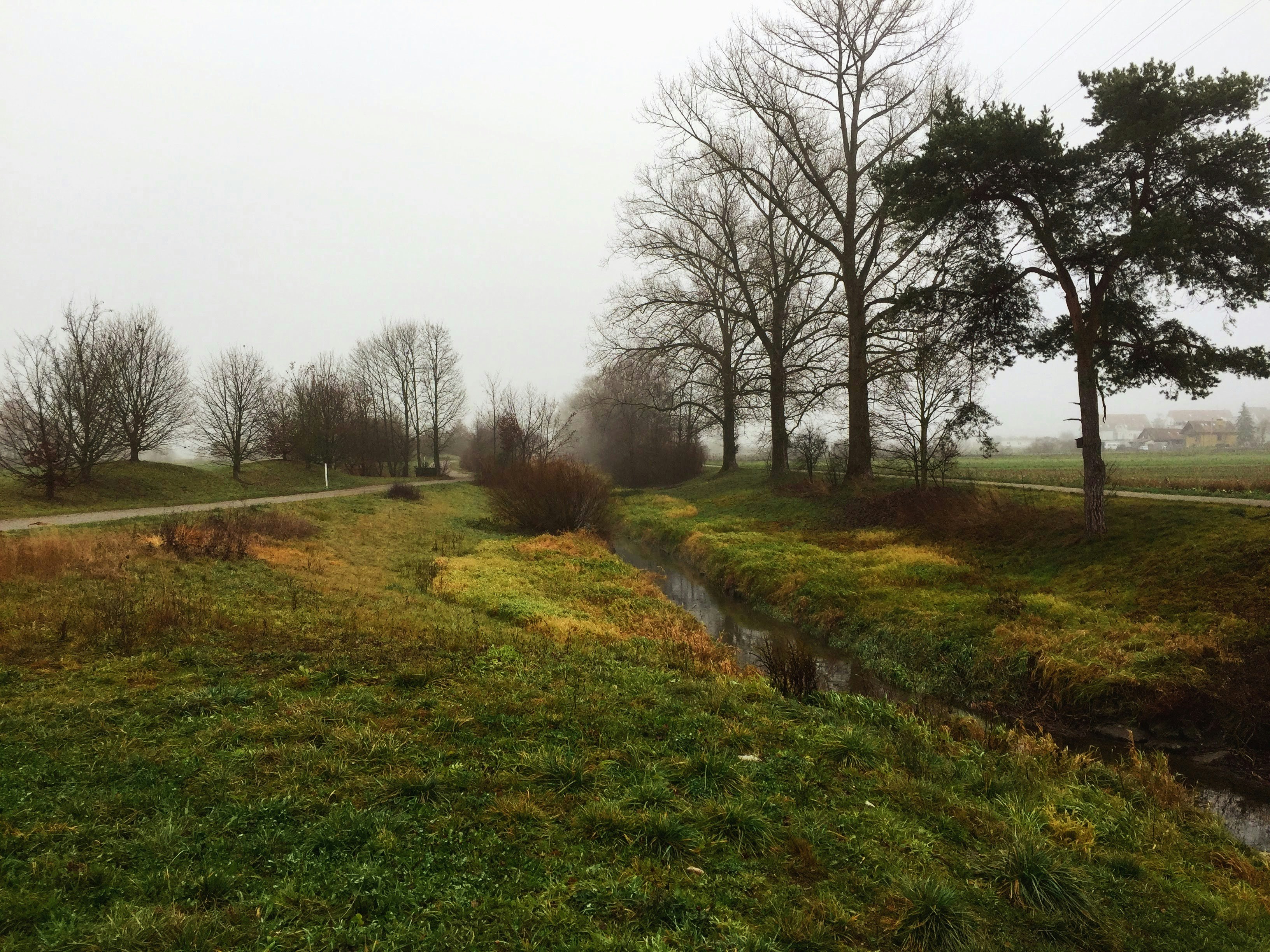 Photo by Carla M.J. Gomes with Apple iPhone 6 Plus