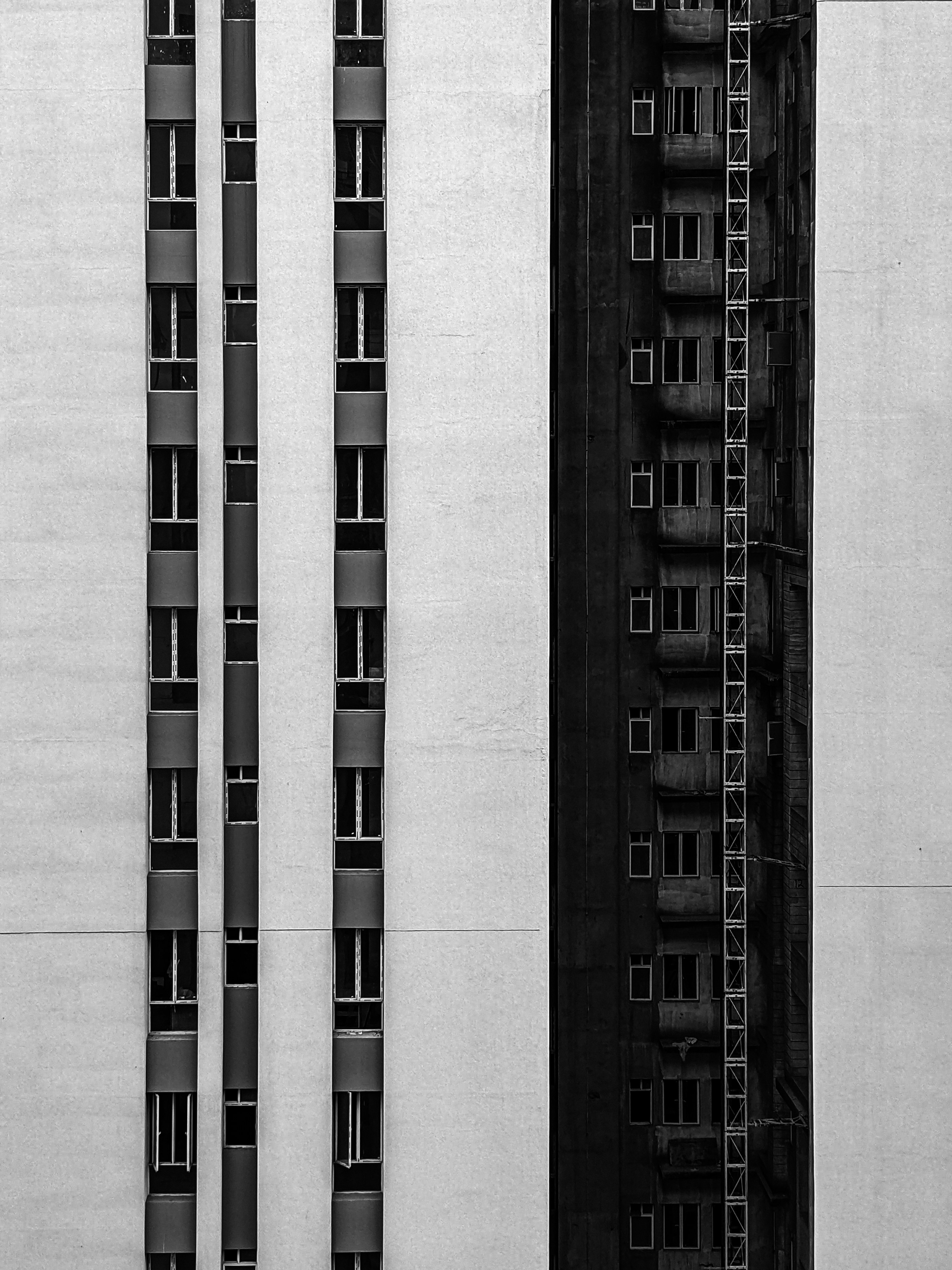 Abstract composition highlighting vertical lines and contrasting textures of a building facade in black and white.