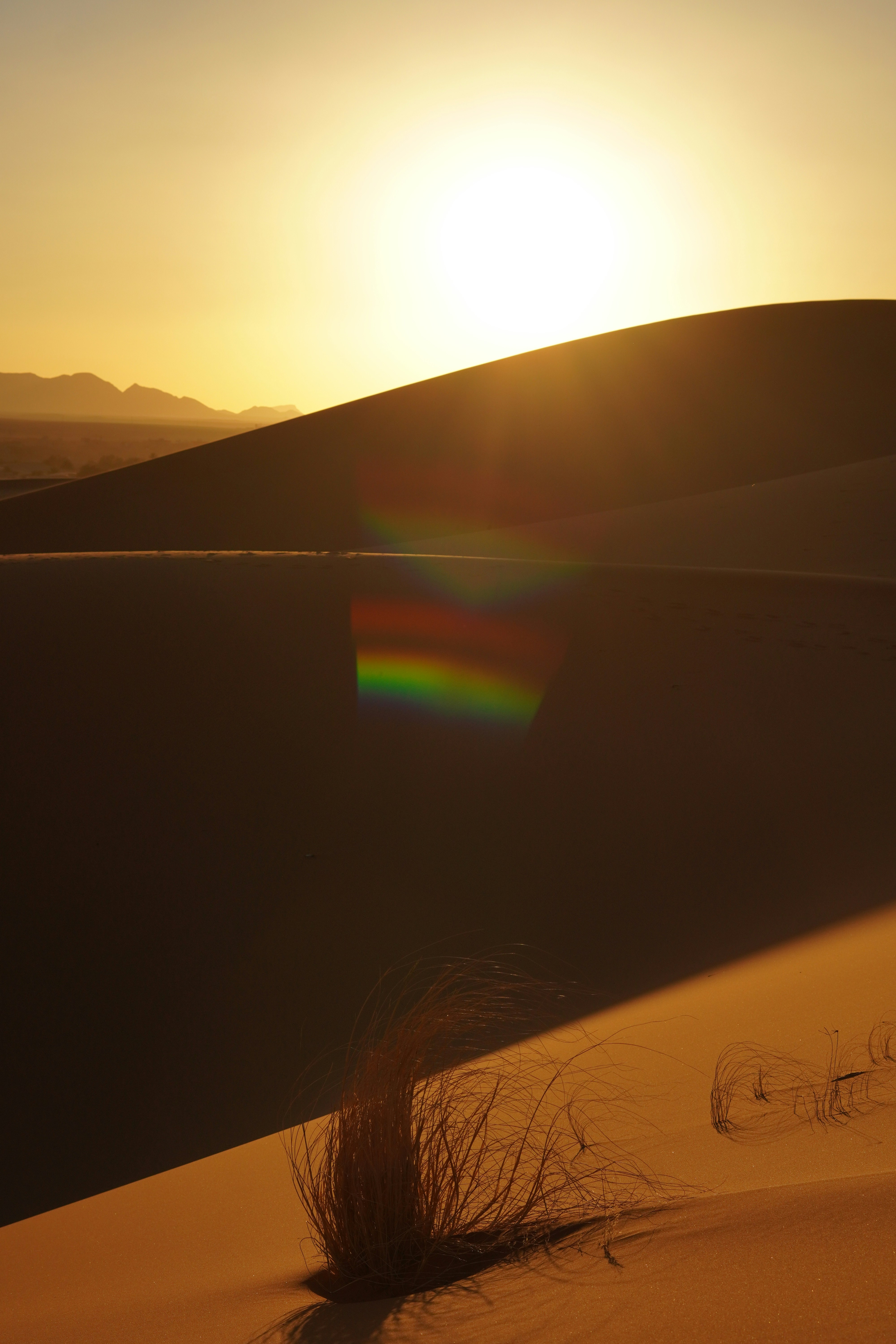 Desert Dune Sunrise with Prism Echoes
