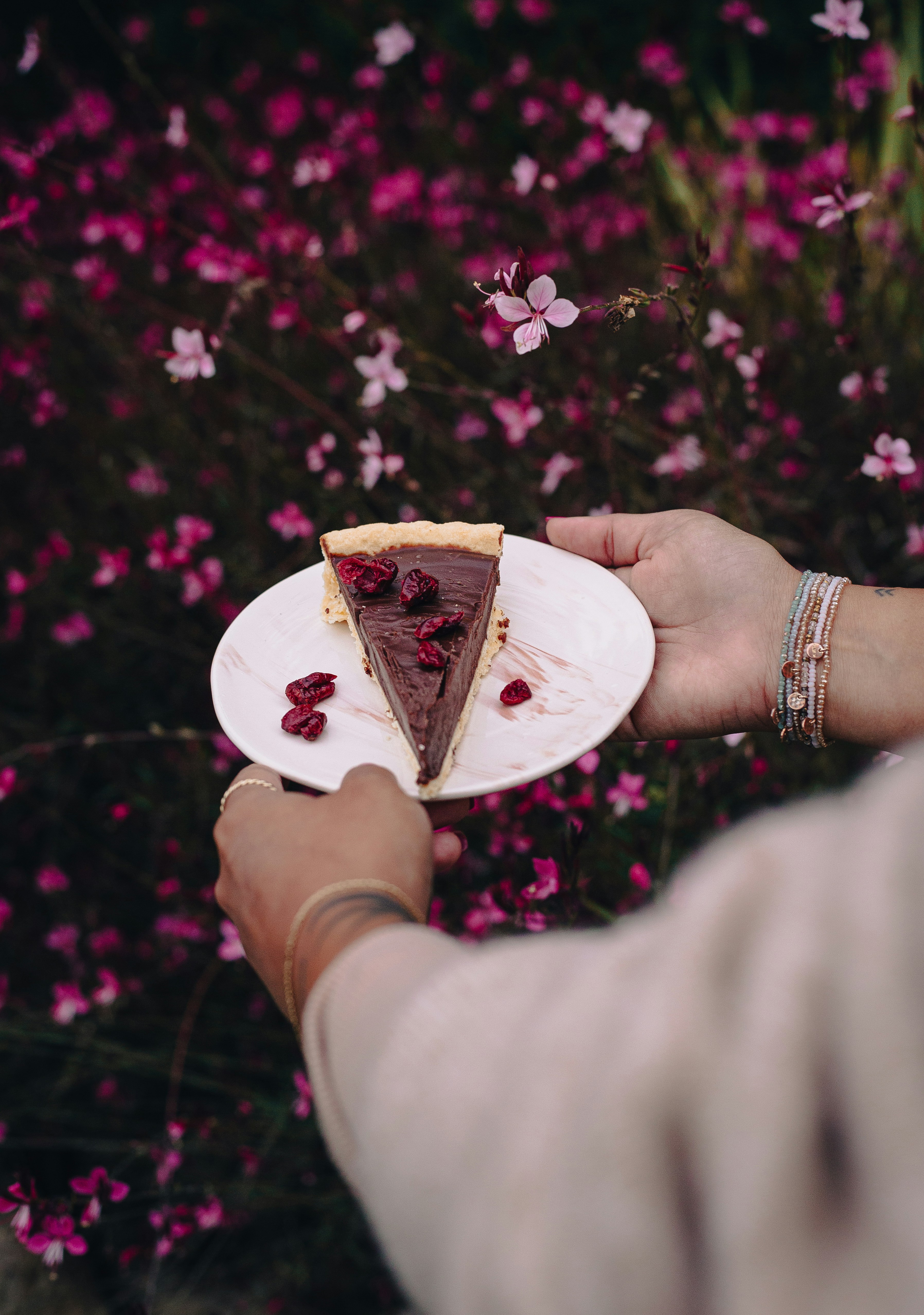 Chocolate Slice in Hand, Framed by Blushing Pink Blossoms