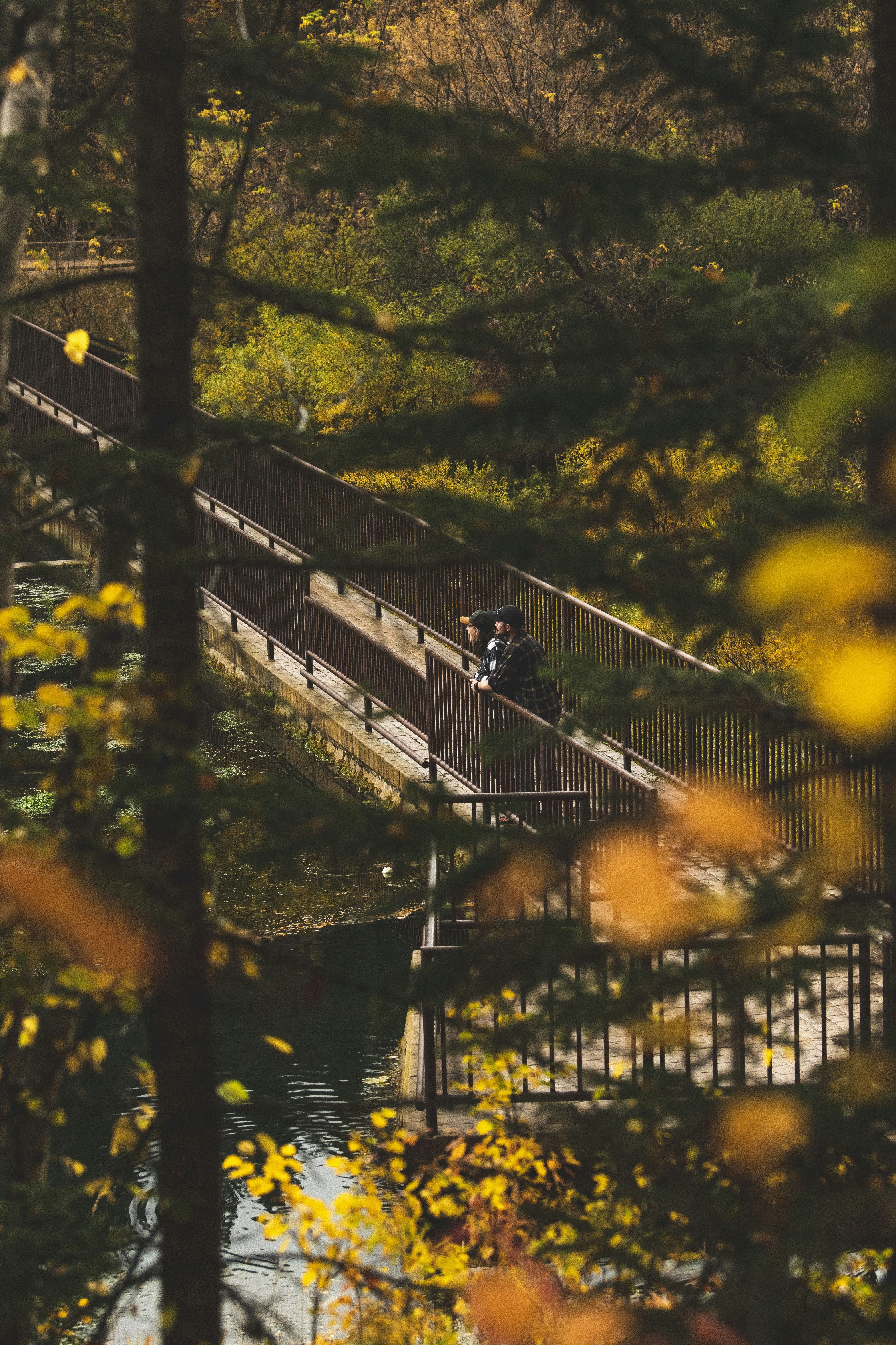 Photo by Jon Sailer with Nikon D850