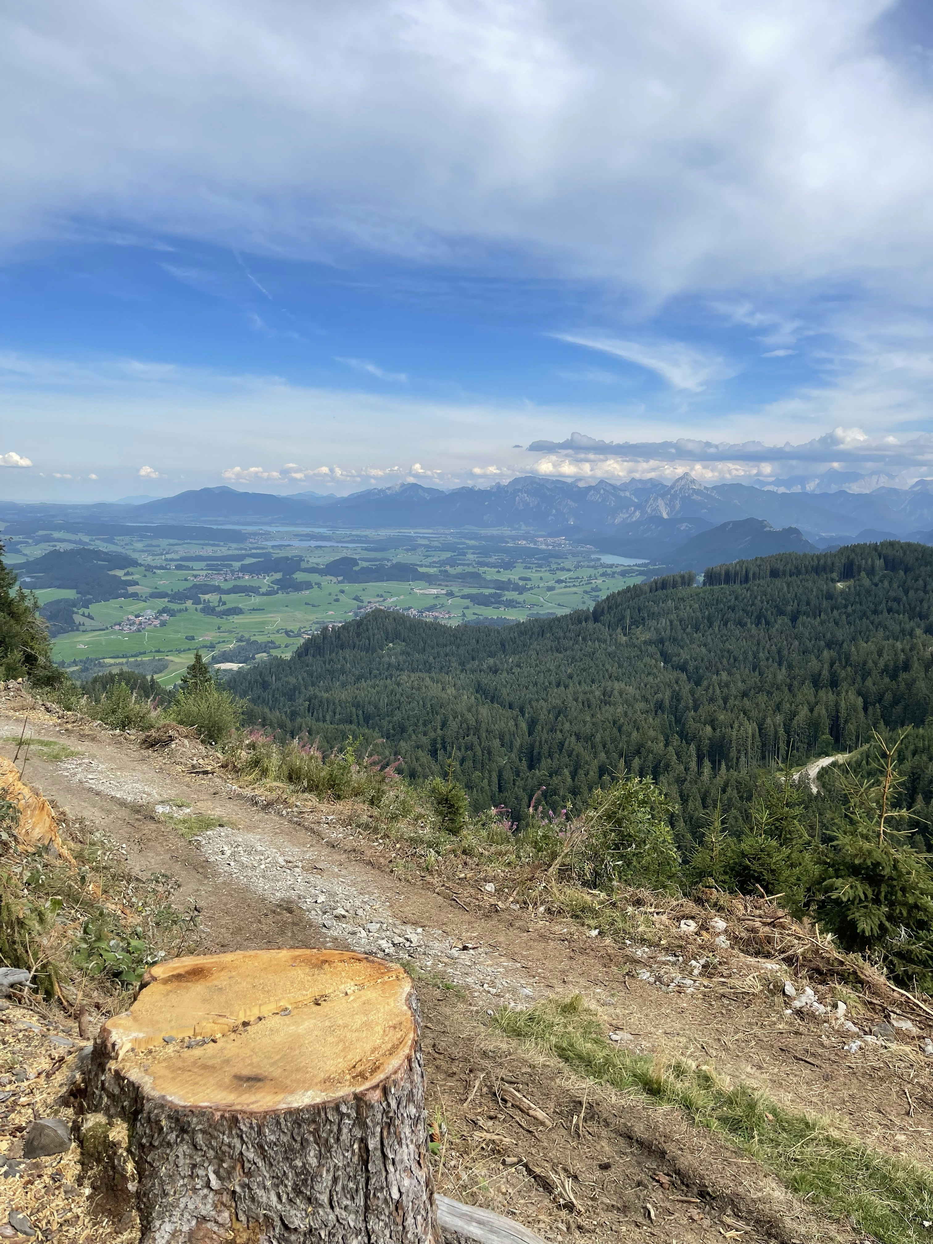 Une colline rocheuse avec des arbres et une vallée en contrebas photo ...