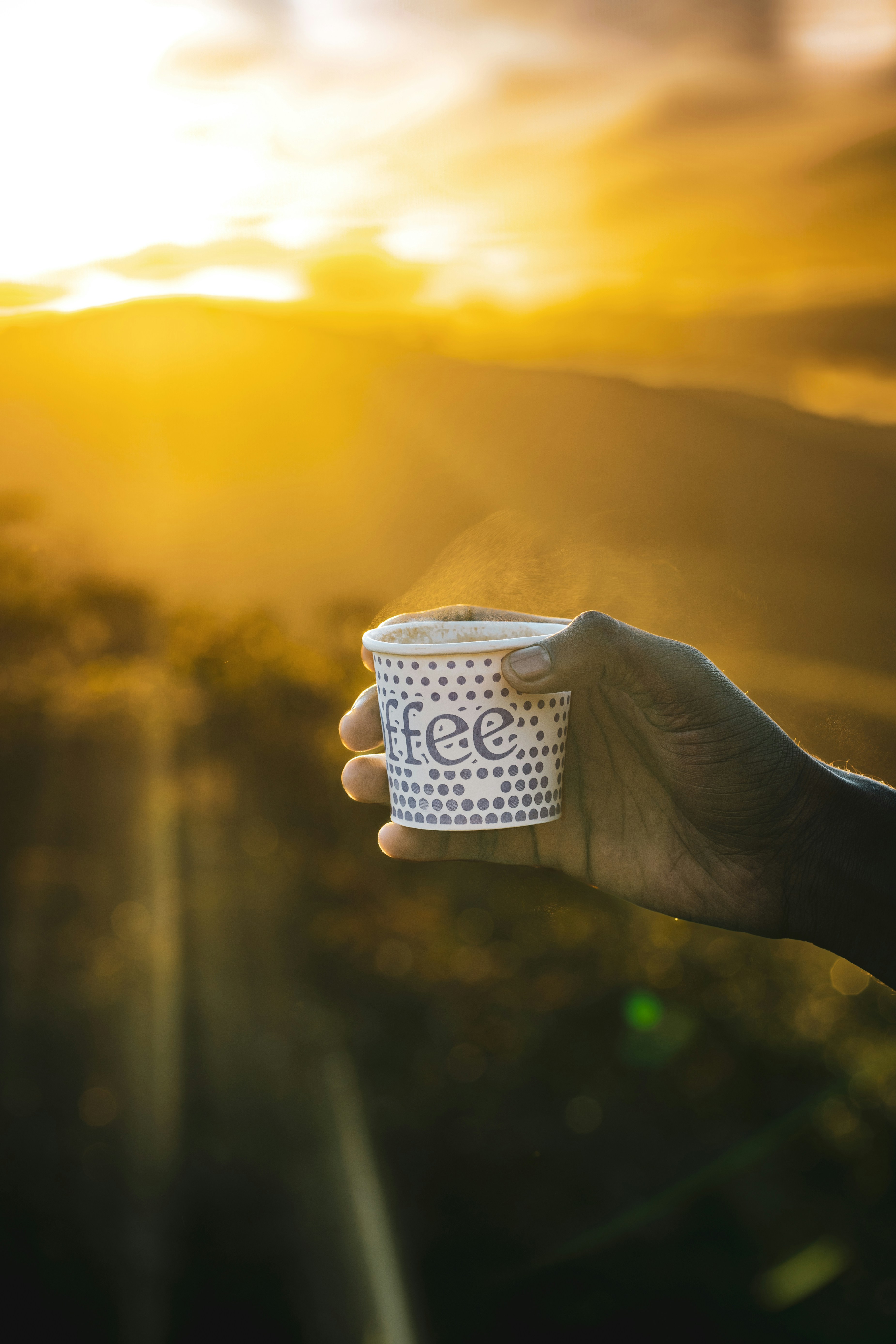 Golden Hour Cup: A Handful of Warmth in a Foam Cup