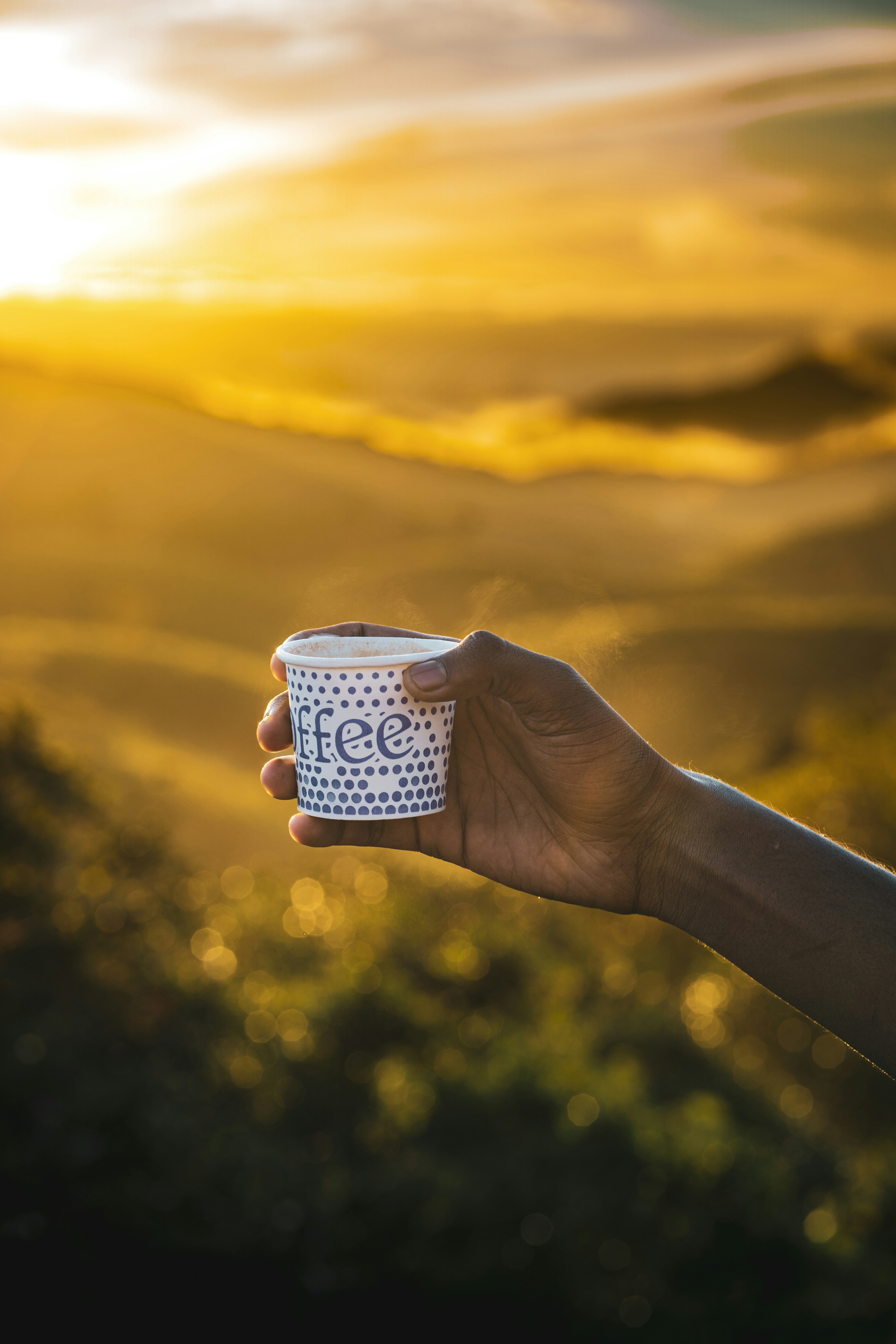 Sunrise Cup: A Quiet Moment of Steam and Light