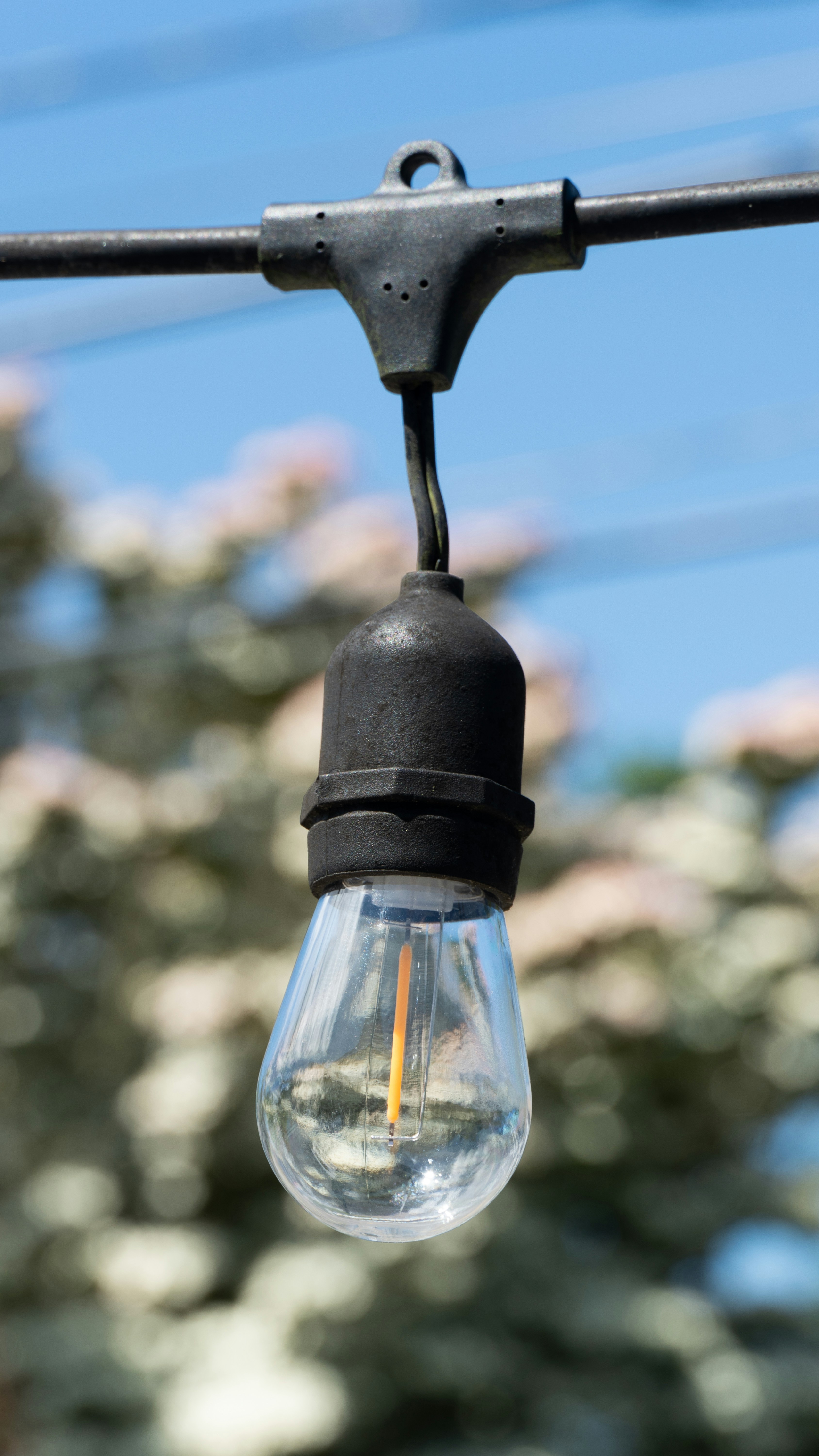 Suspended Lantern: Clear Bulb in a Sky-Blurred Garden