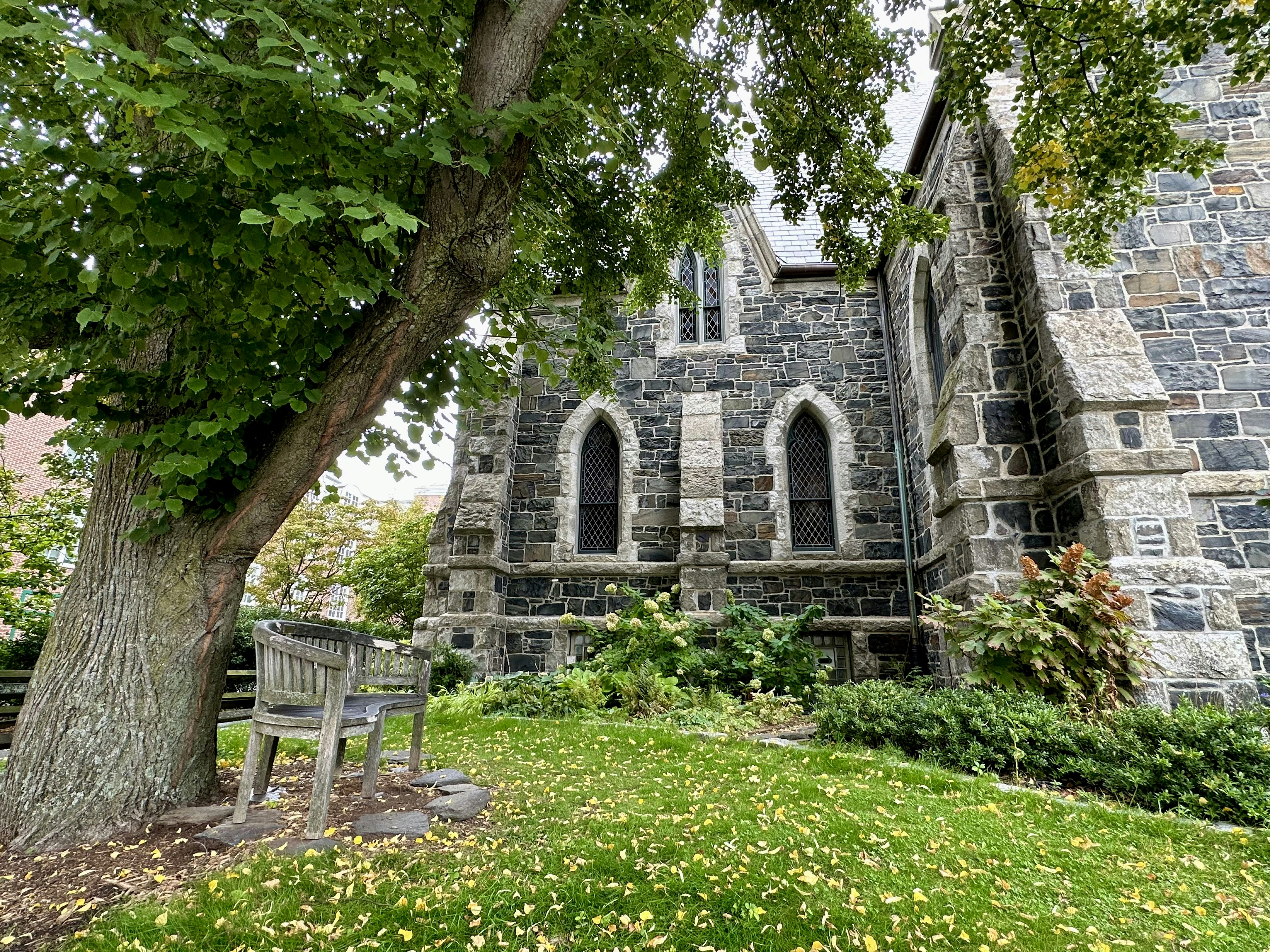 A bench sits in front of a stone building photo – Free Harvard ...