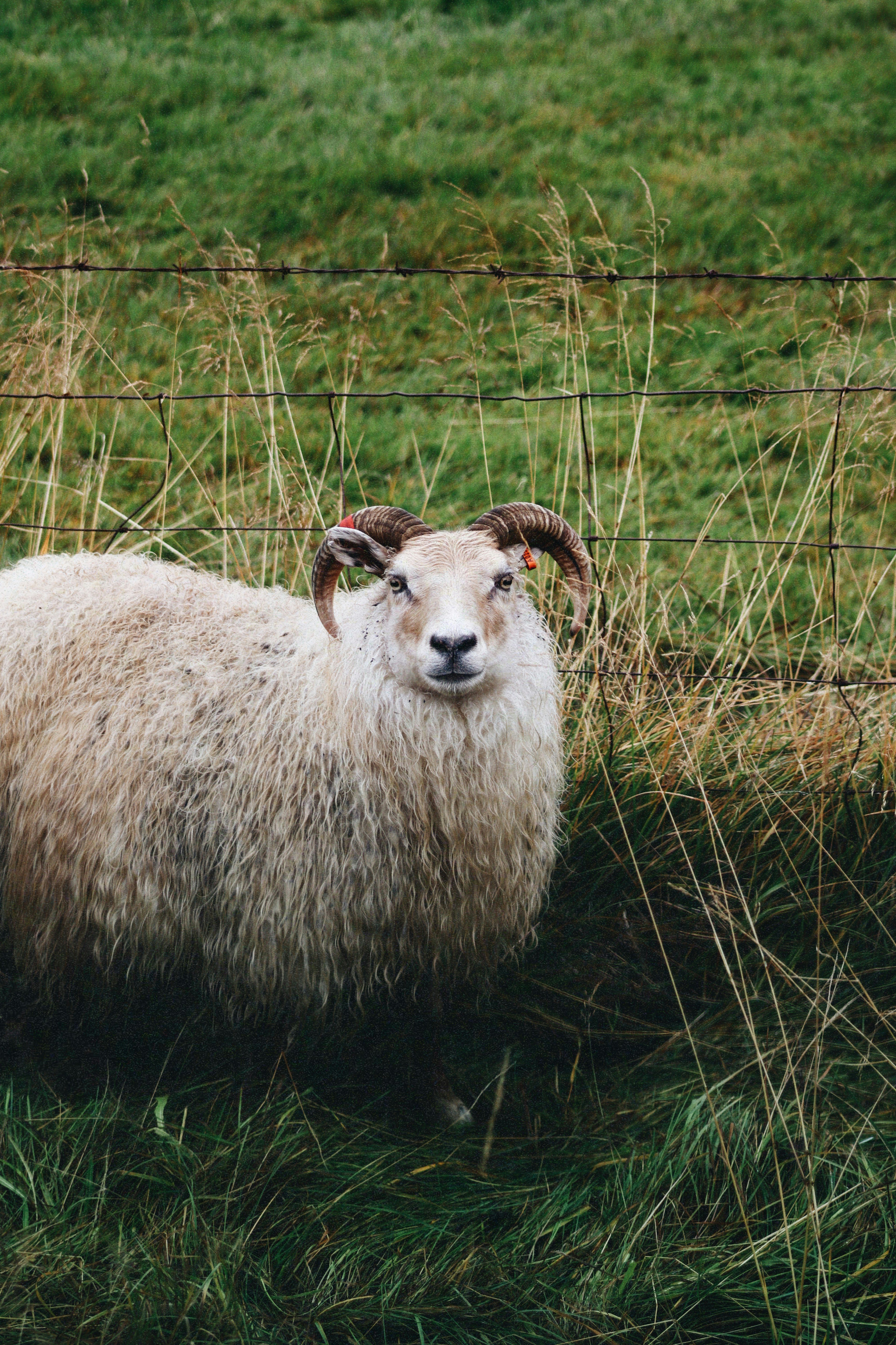 Photo by Nathana Rebouças with Canon EOS 250D