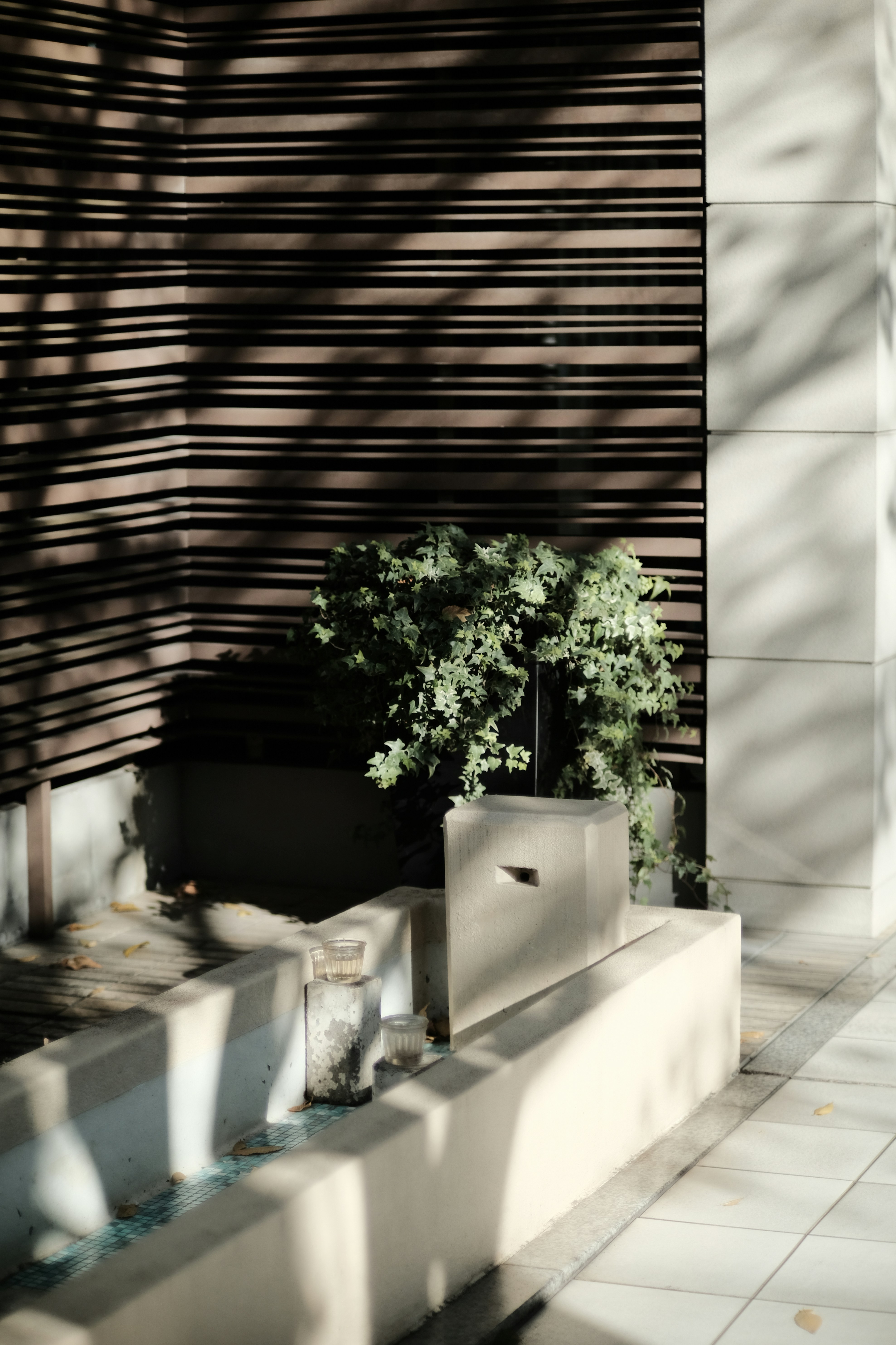 A planter box on a ledge photo – Free Black Image on Unsplash