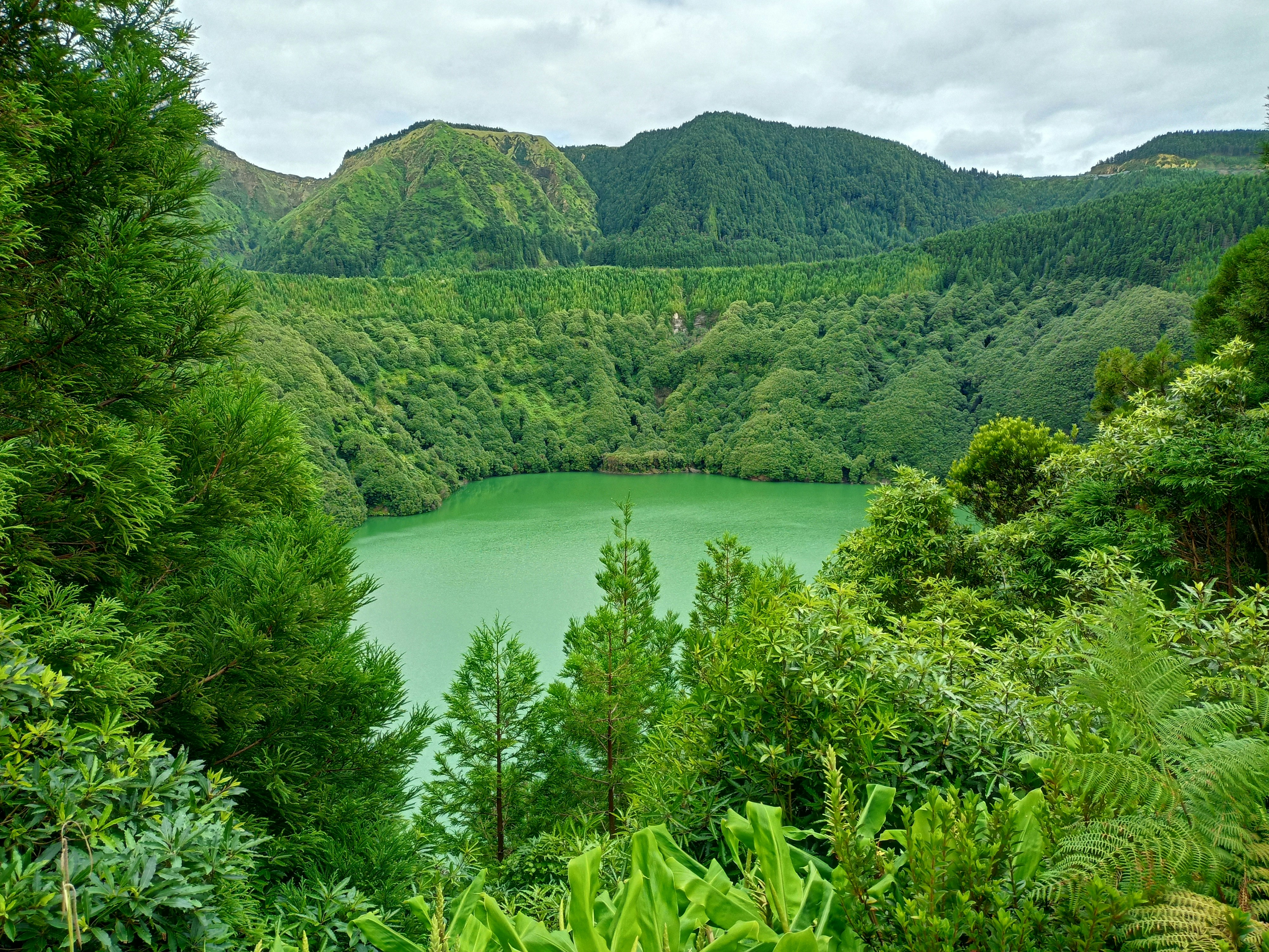 Sample photo from Realme 7