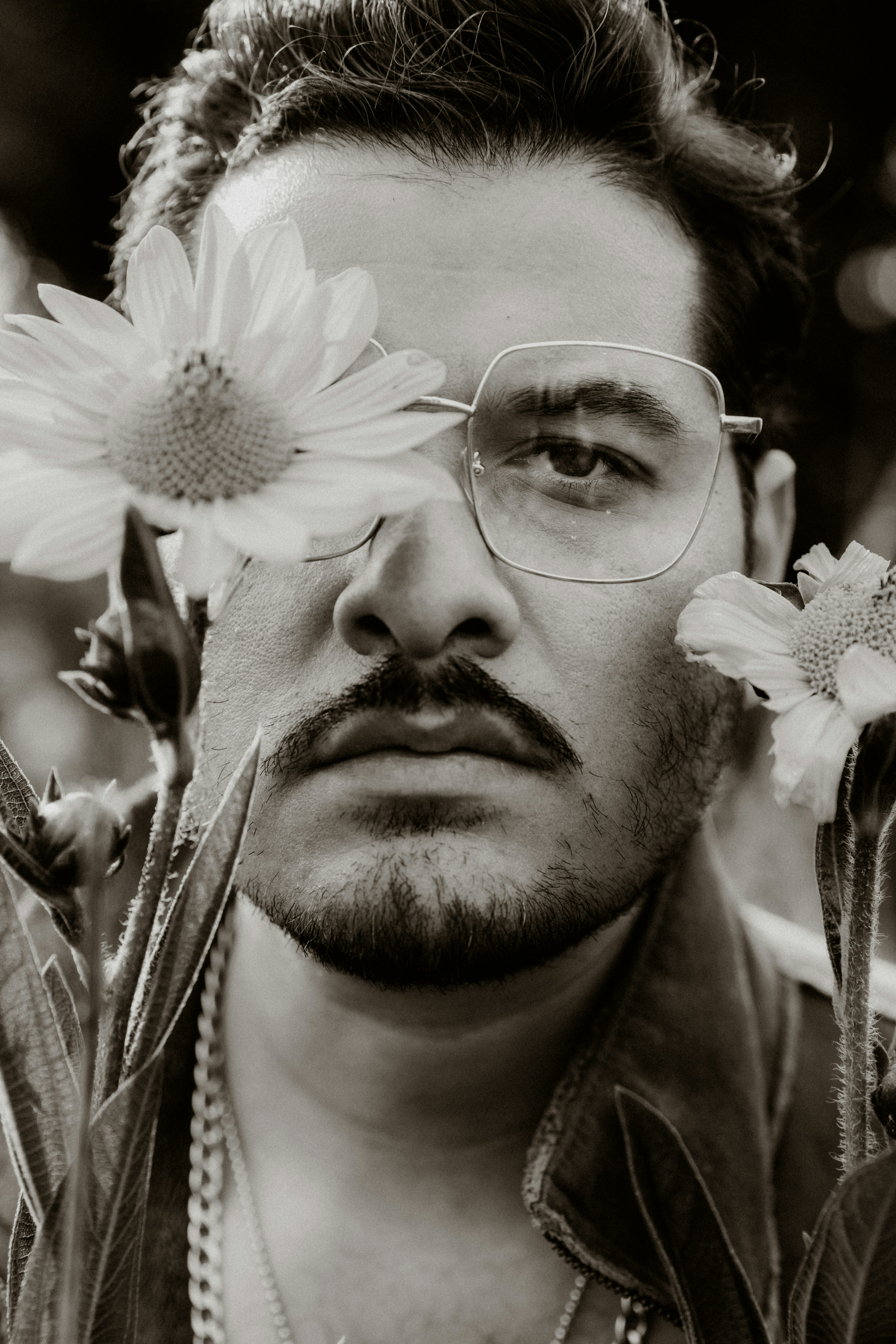 Daisy Halo: A Quiet Close-Up Portrait Surrounded by Flowers