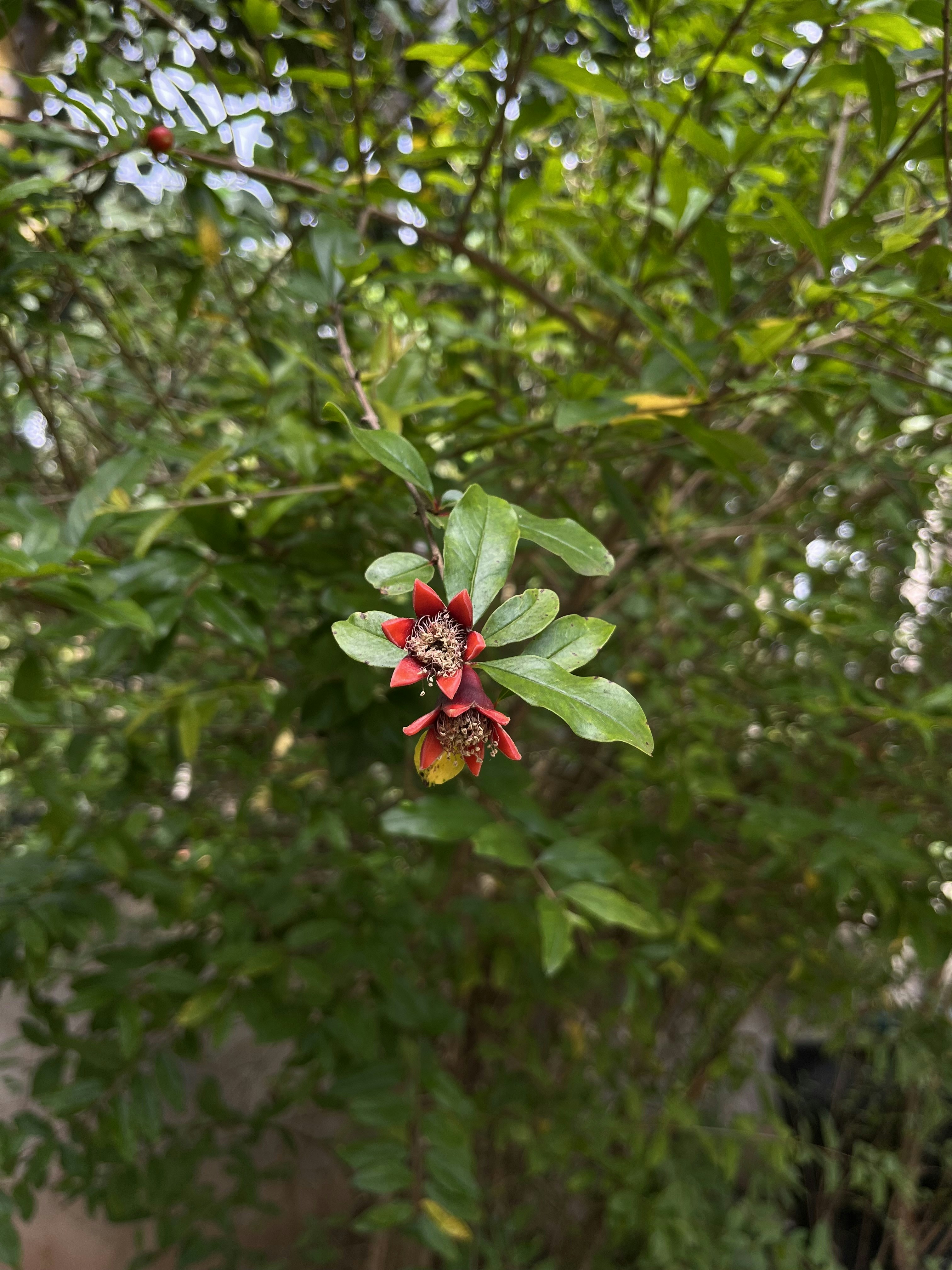 Photo by Gokul ram with Apple iPhone 13