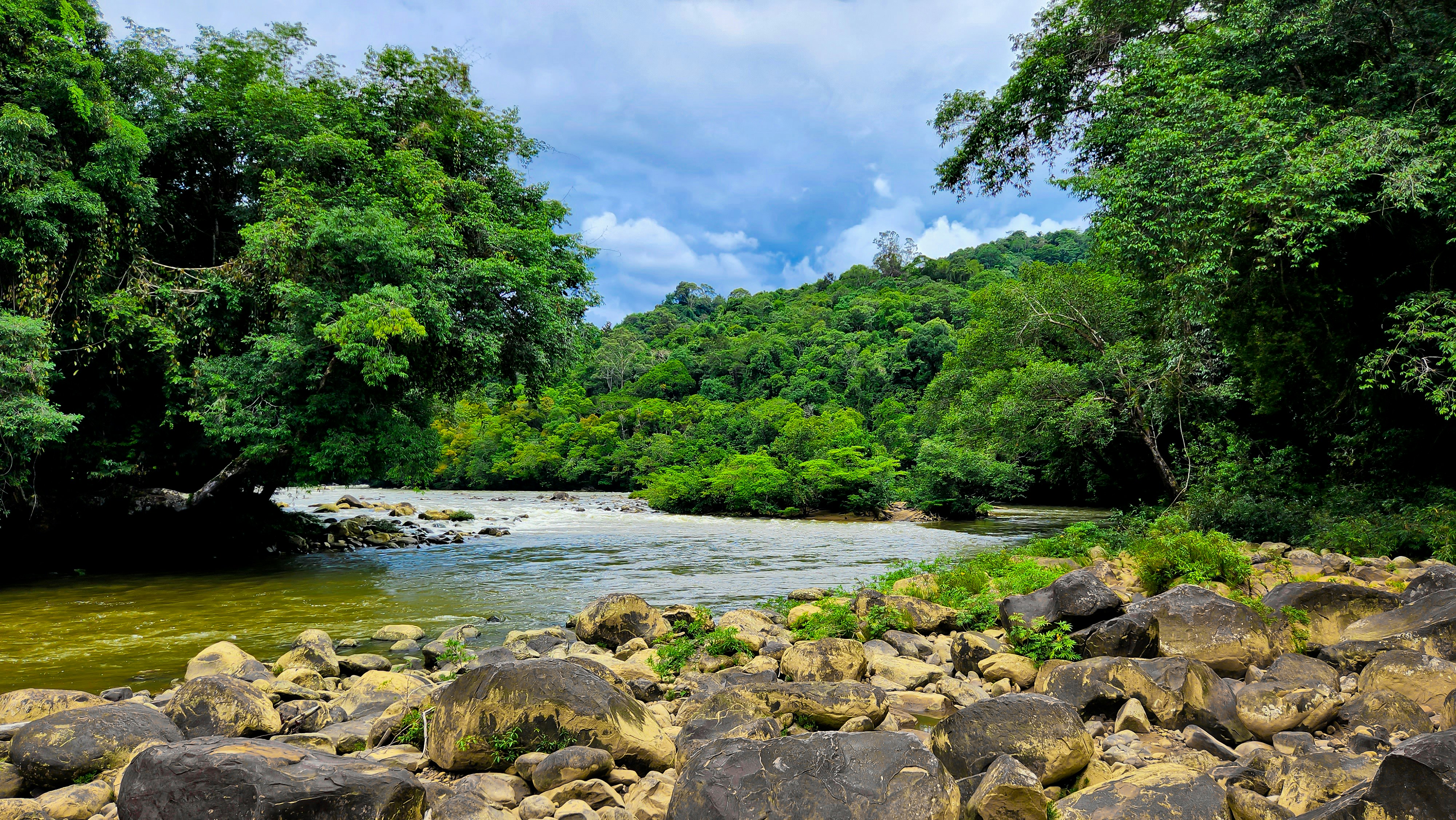 A river with rocks and trees photo – Free Ulu baram Image on Unsplash