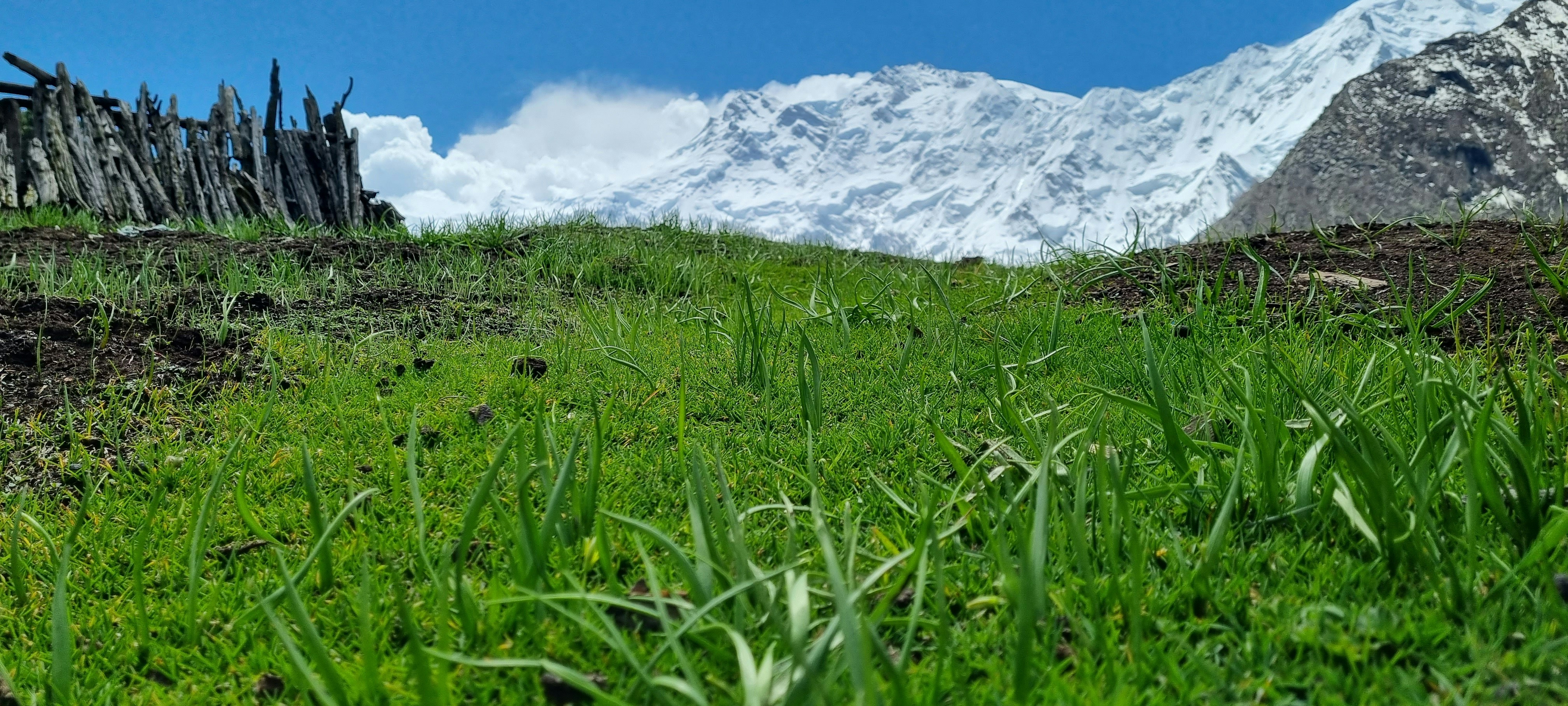 Lush green meadow in the foreground with a weathered wooden fence on the left, leading toward snow-capped mountains under a clear blue sky.