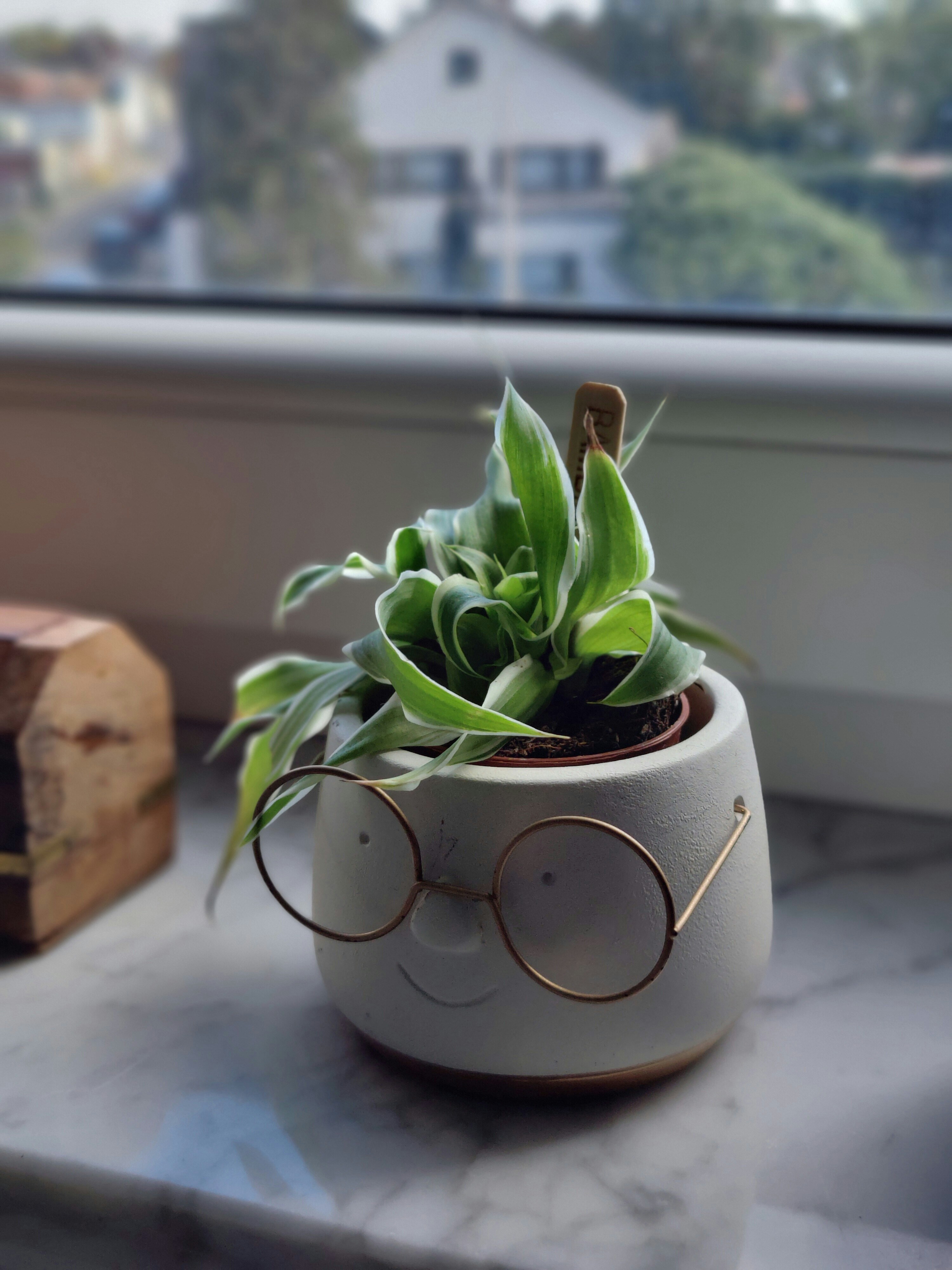 Small potted plant with round glasses-style decor sits on a marble windowsill, blurred neighborhood visible through the window behind. A calm still-life scene featuring a ceramic pot and leafy greenery.