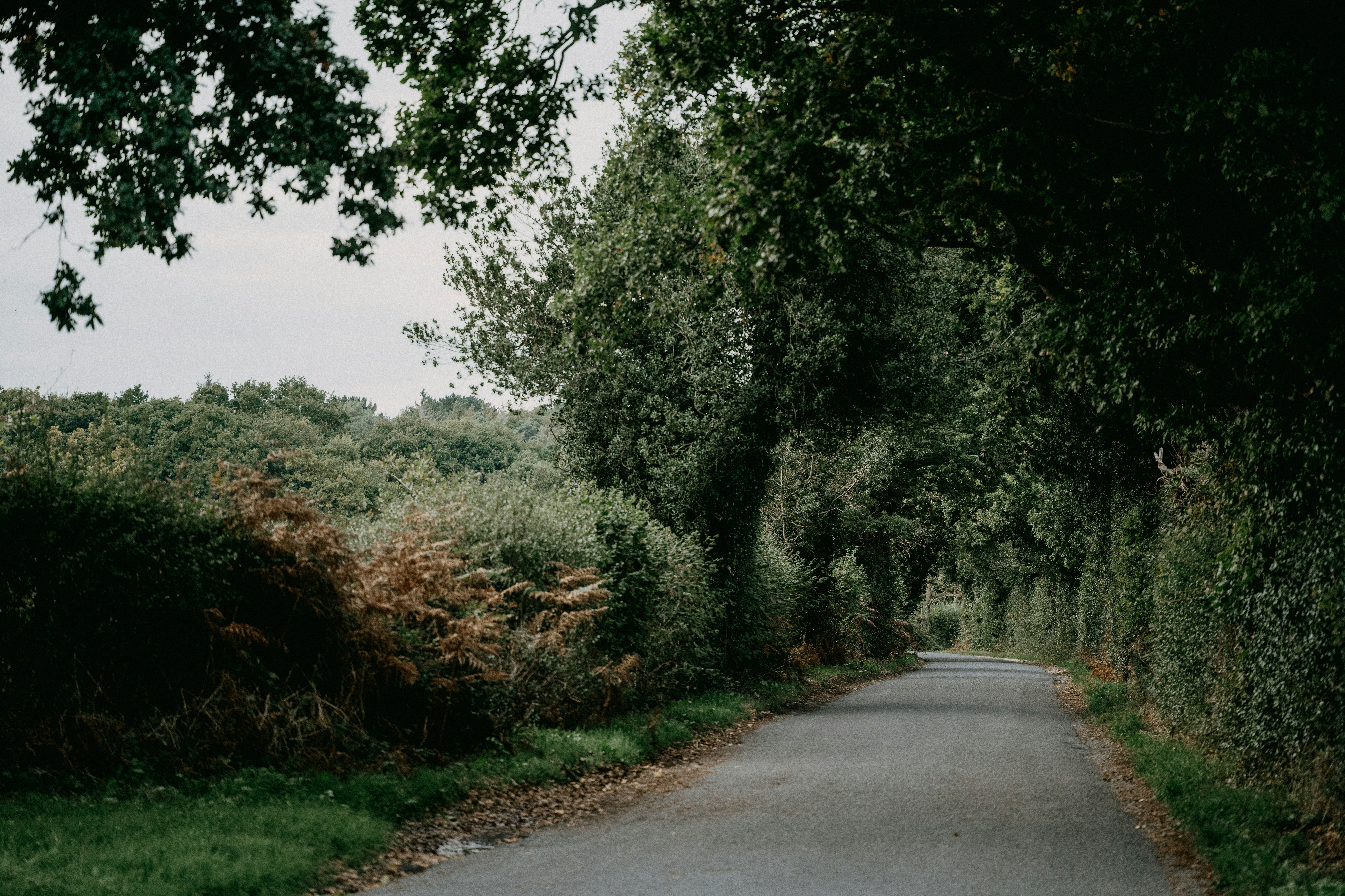 Country Lane Pictures | Download Free Images on Unsplash