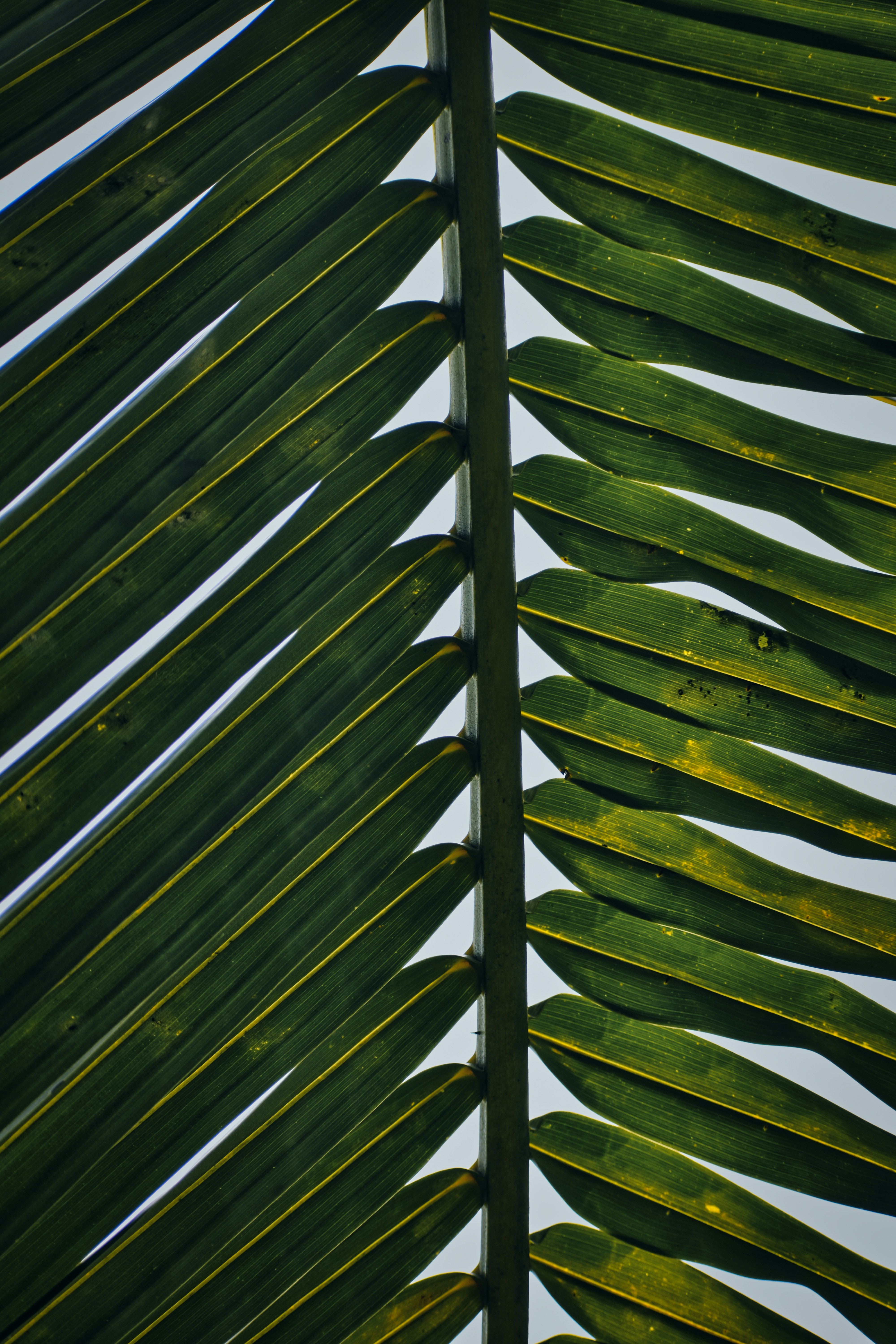 Photo by Soubhagya Ranjan with Nikon D3400