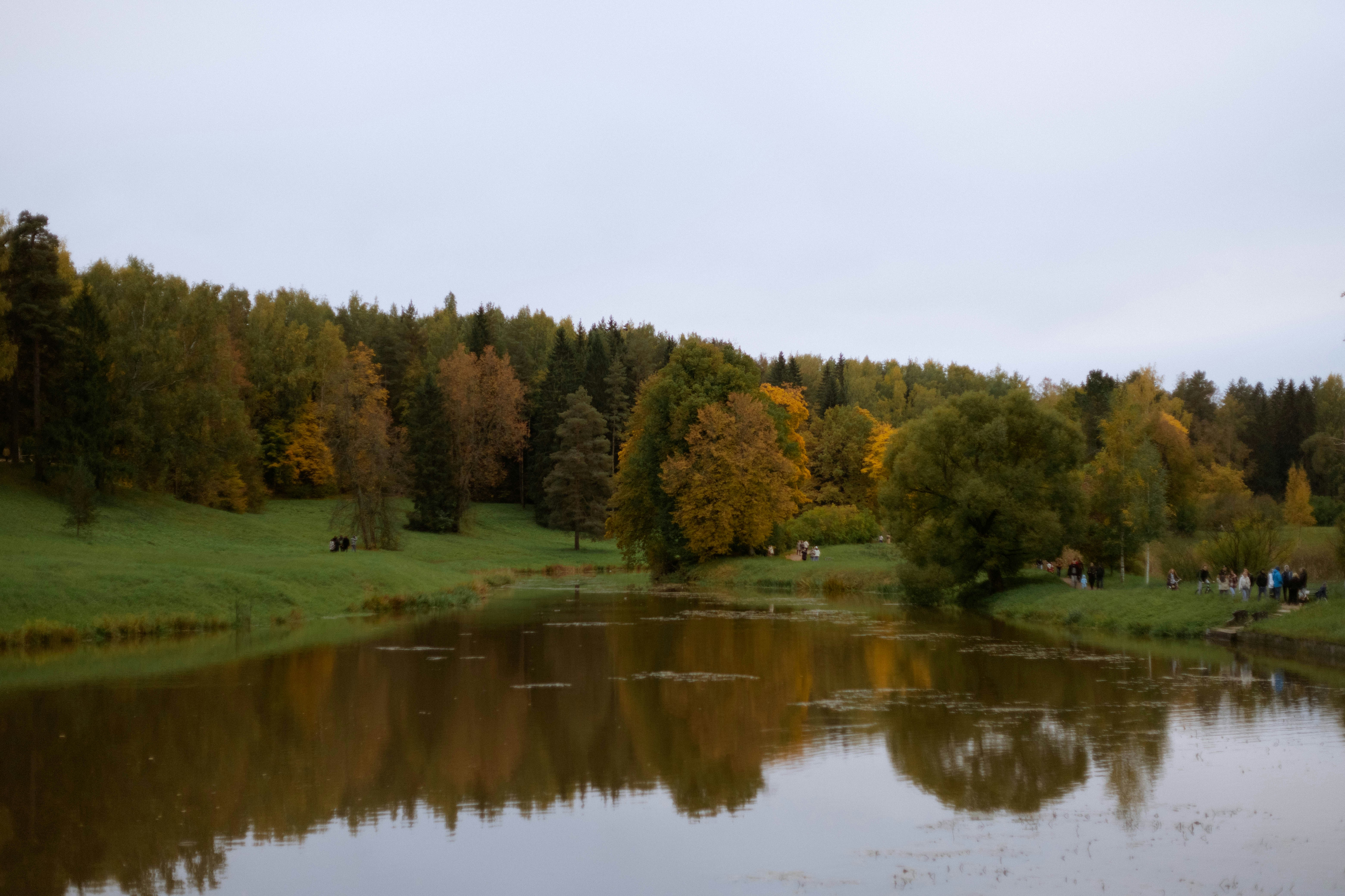 Amber Canopy by the Riverside: Reflections in a Quiet Autumn Park