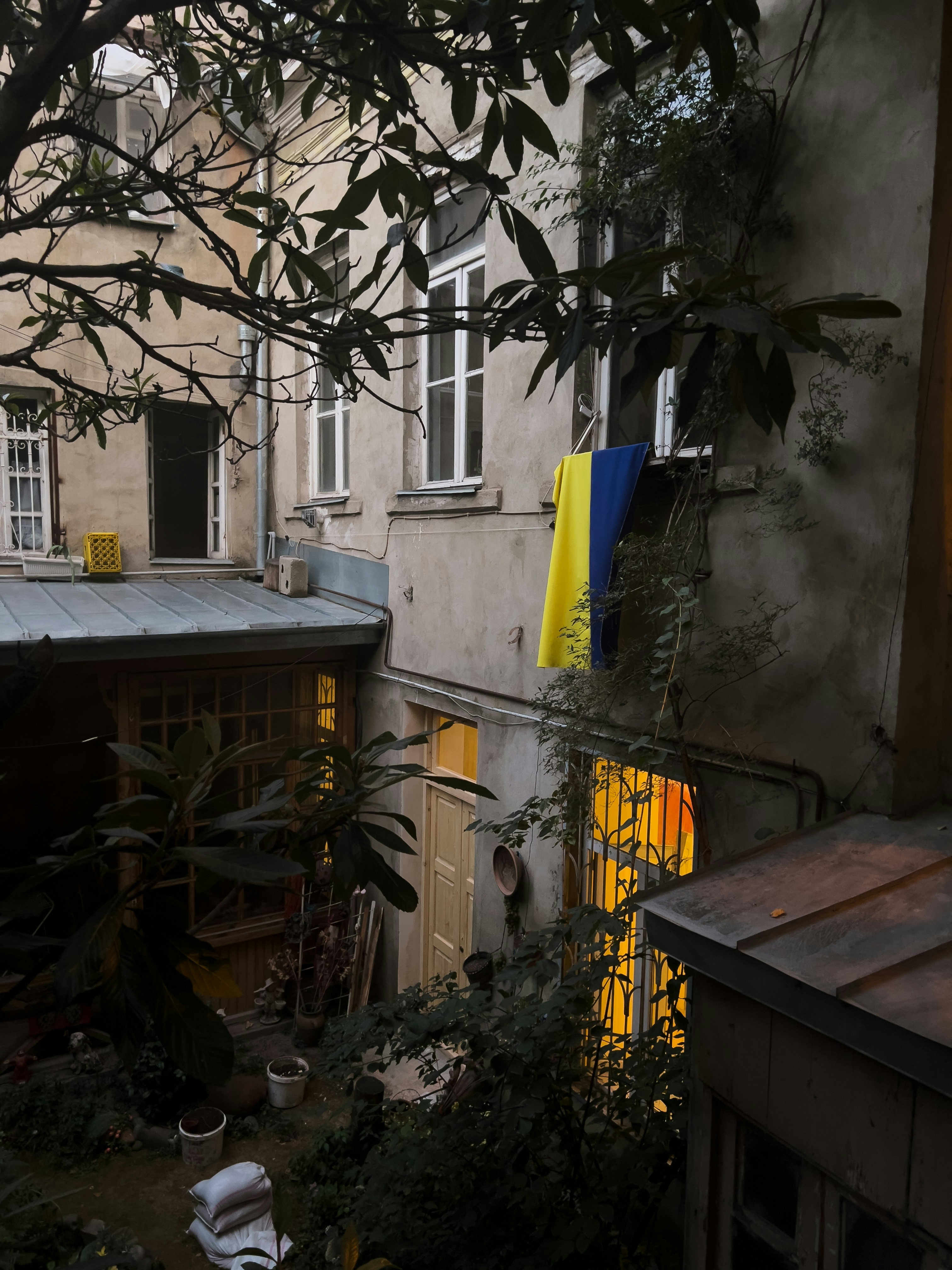 Dusky Courtyard Glow: A Warm Window Amid Ivy and Laundry