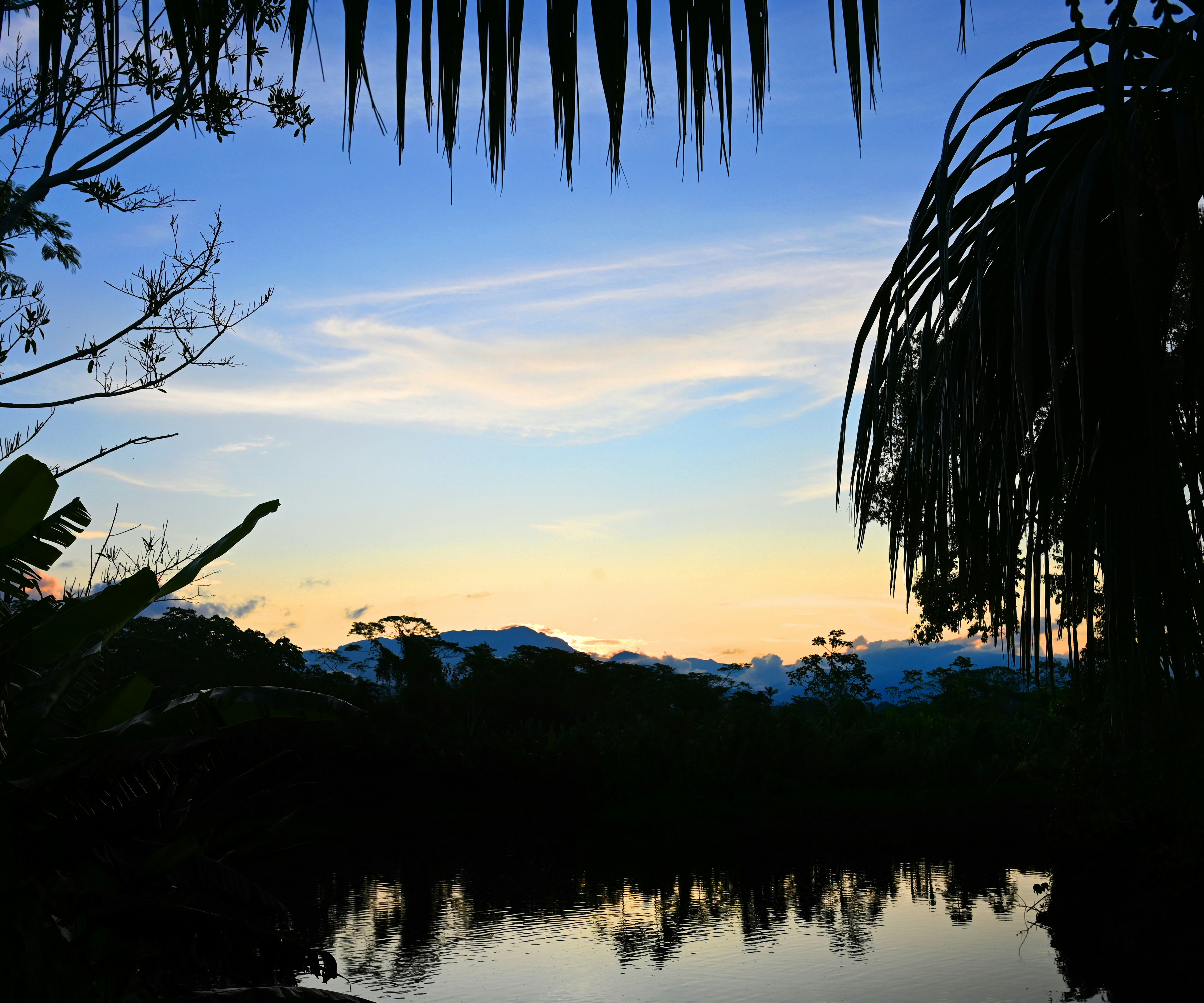 Horizon in Silhouette: Palm-Fringed Sunset Over a Quiet River