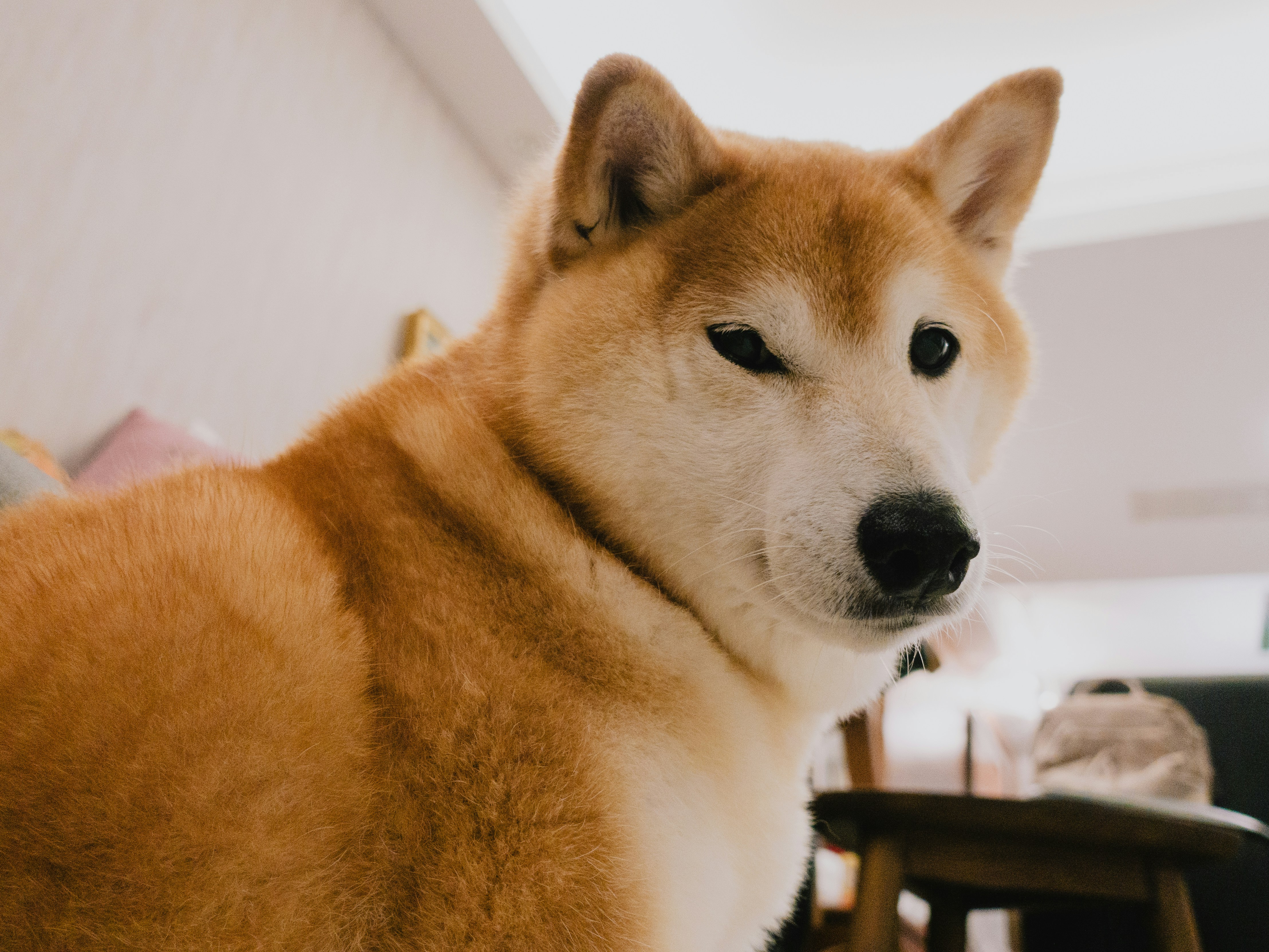 Photo by Catgirlmutant with Sony RX100 V