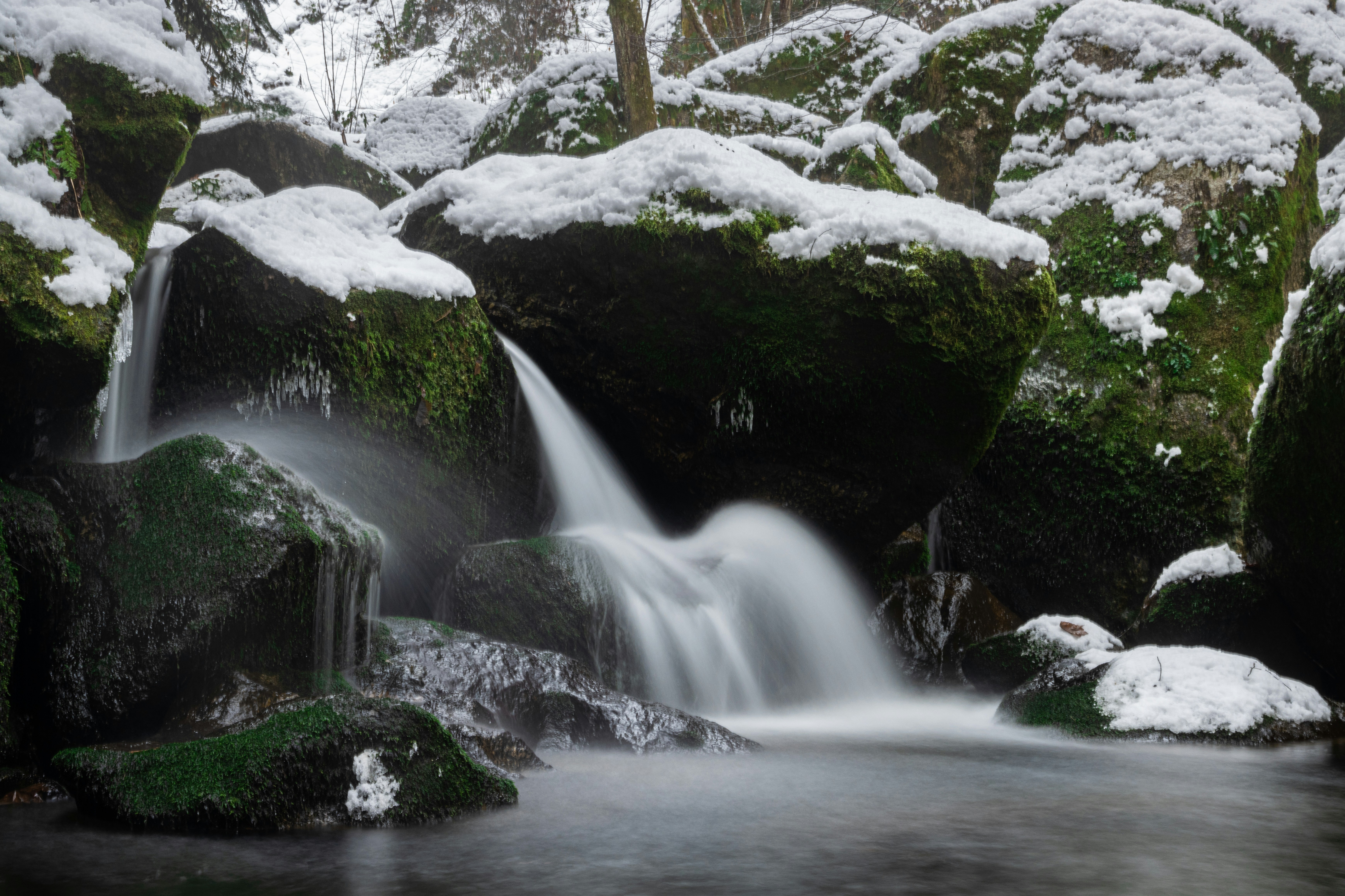 Snowbound Cascade in a Mossy Gorge