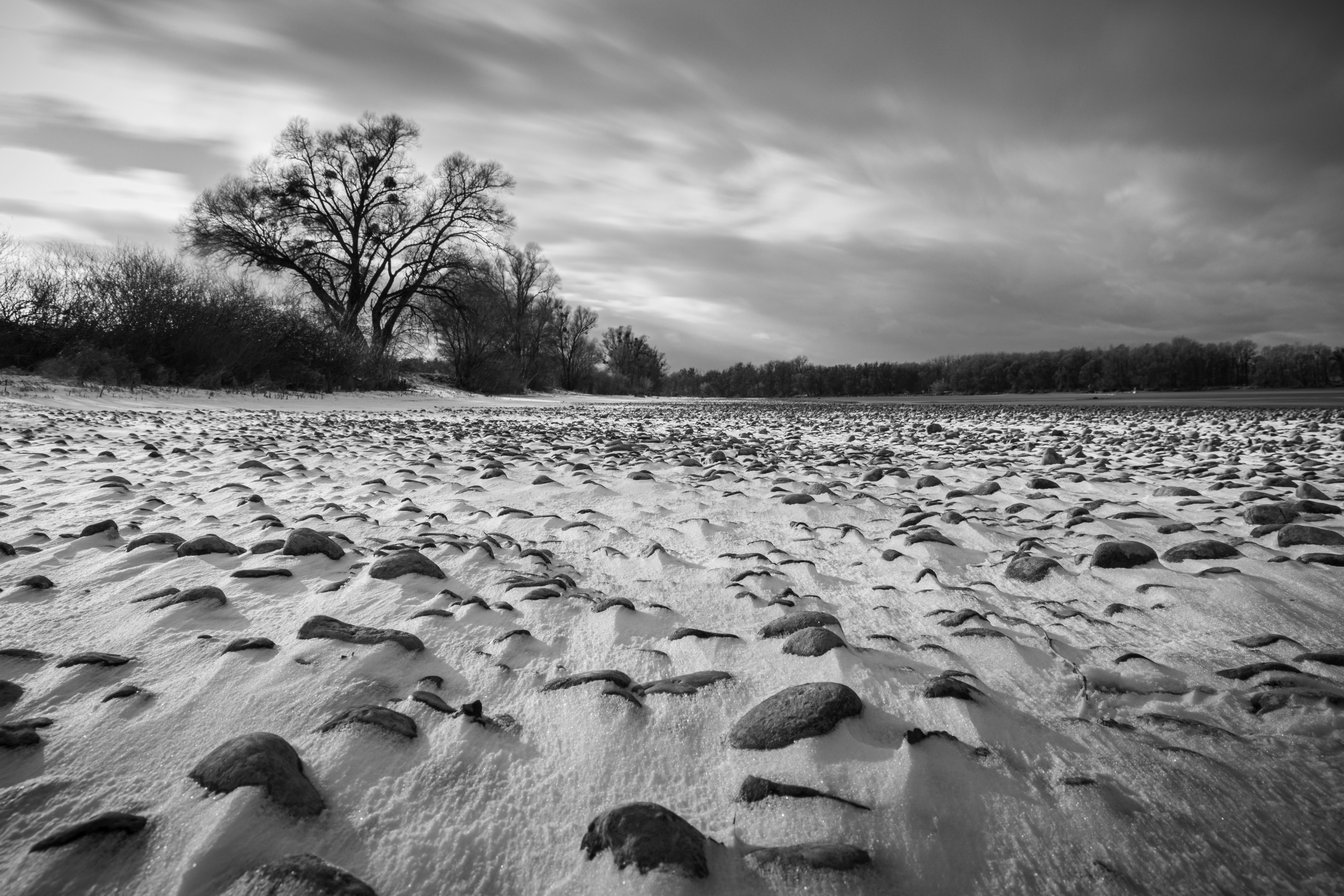 Stone-Studded Snowfield Framing a Lone Tree at Dusk