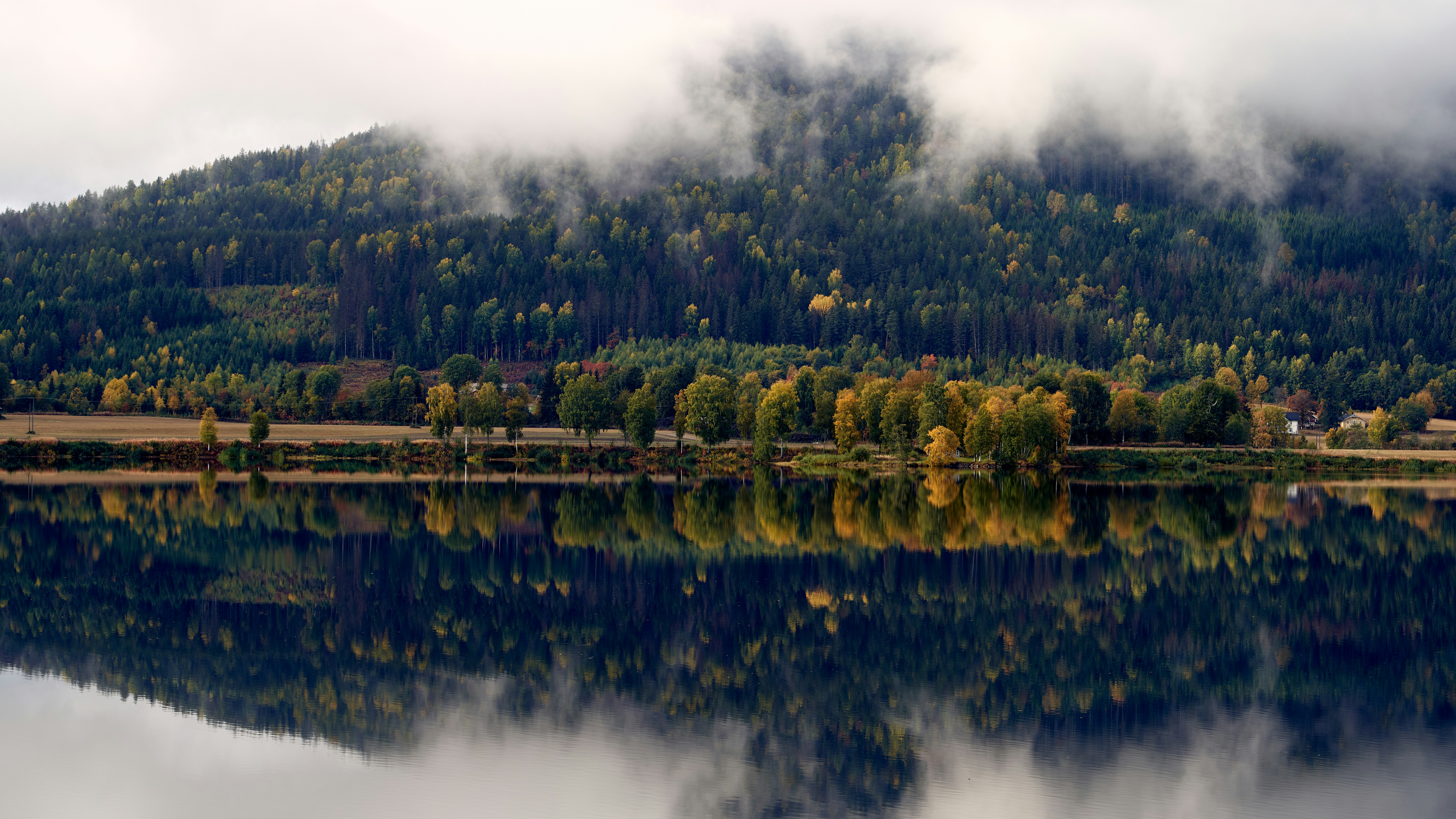 Autumn colors on the foggy hills with reflection in the water, close to lake Krøderen, Norway