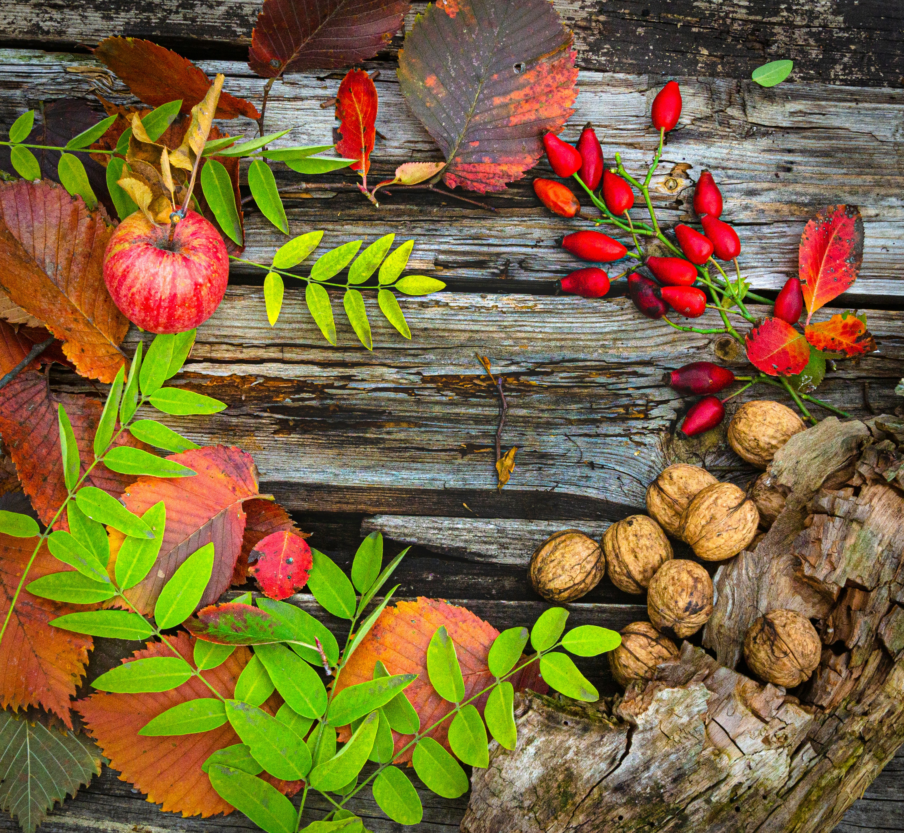 Autumn Mosaic: Crimson Berries, Walnut Orbs, and Greenery on Weathered Timber