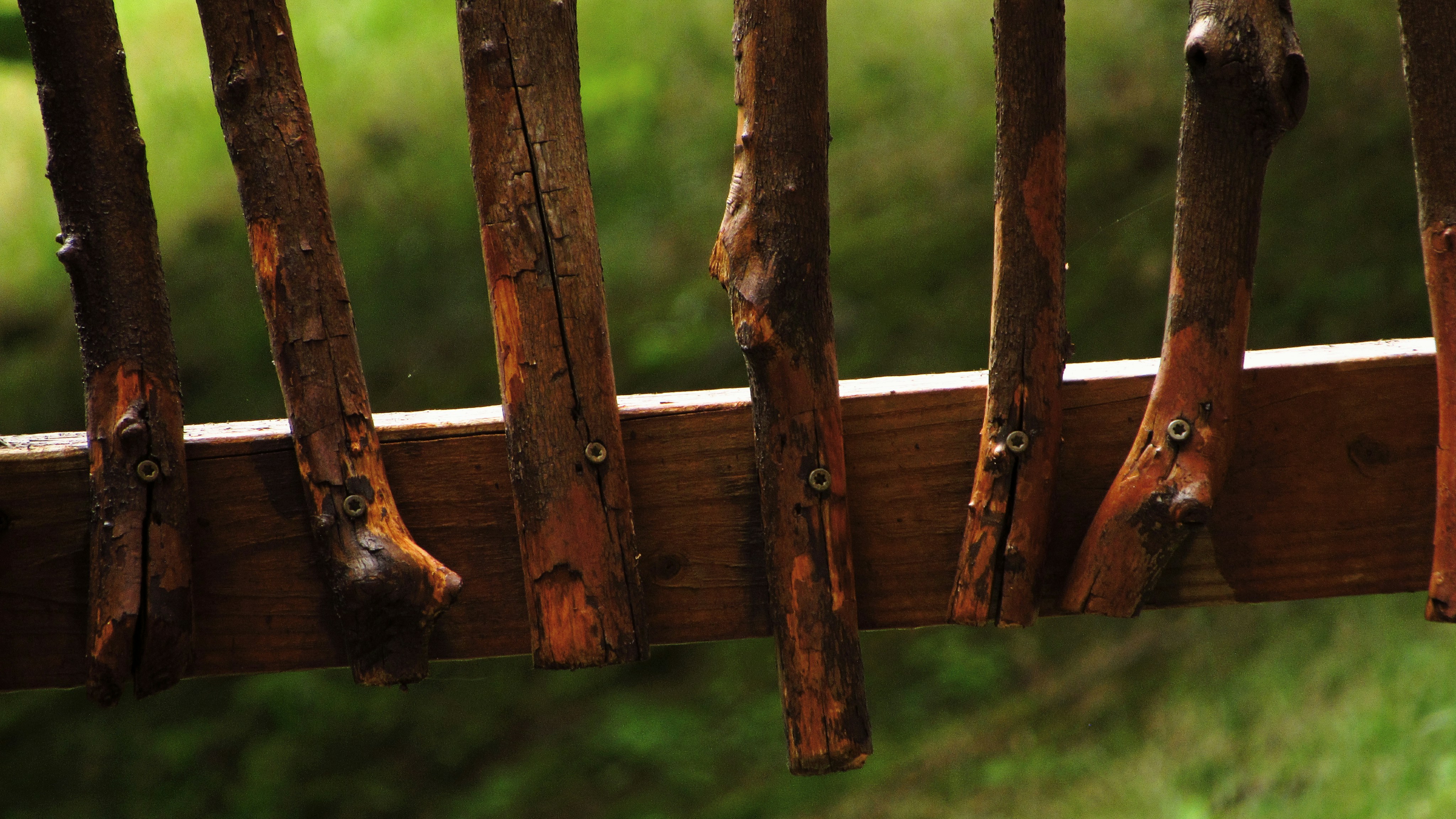 Timeworn Fence Staves Against a Quiet Green Backdrop