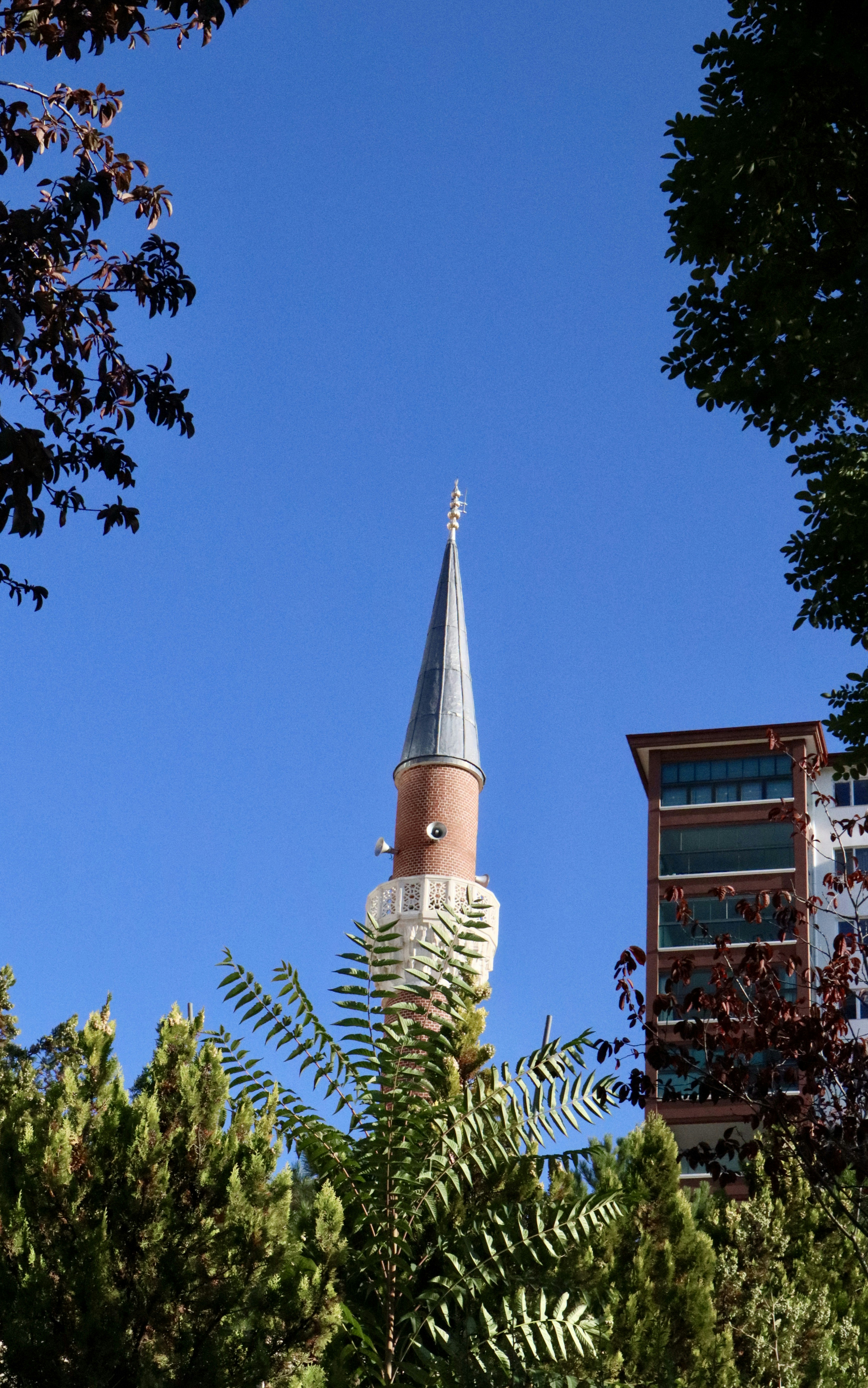 Photo by ekrem osmanoglu with Canon EOS M50 Mark II