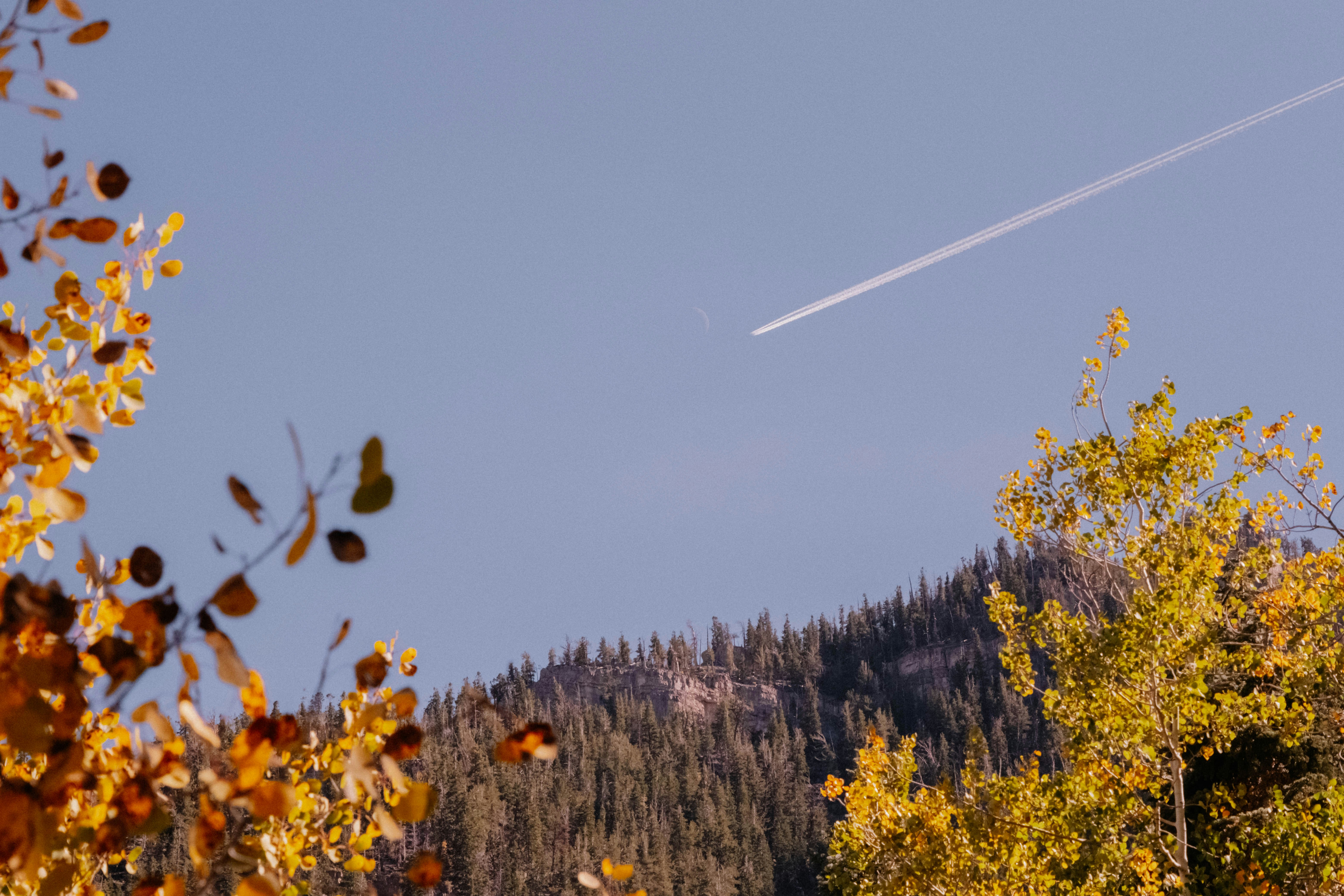 Autumn's Whisper Under a Jet's Path