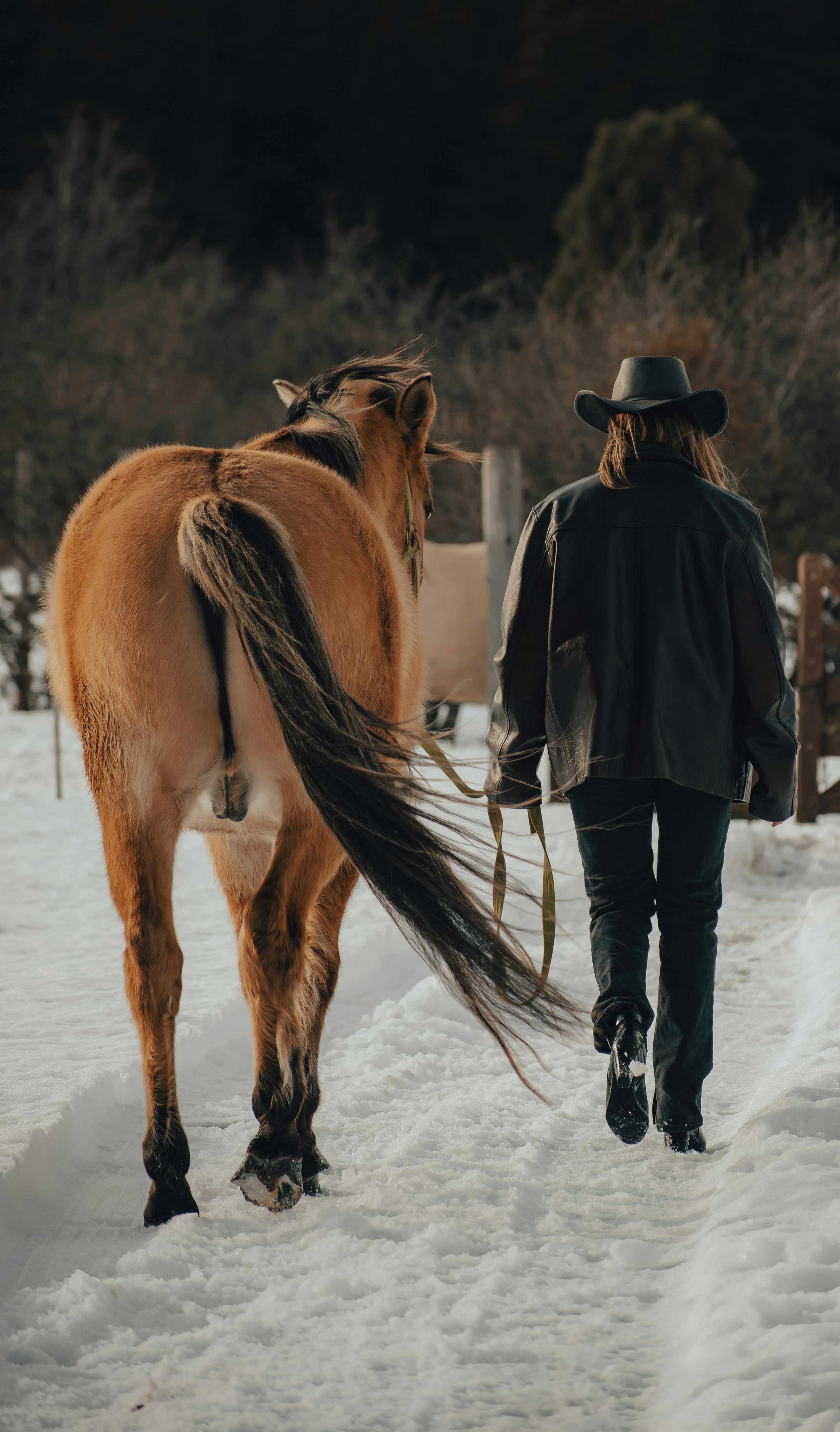 Foto Una persona paseando a caballo – Imagen Humano gratis en Unsplash