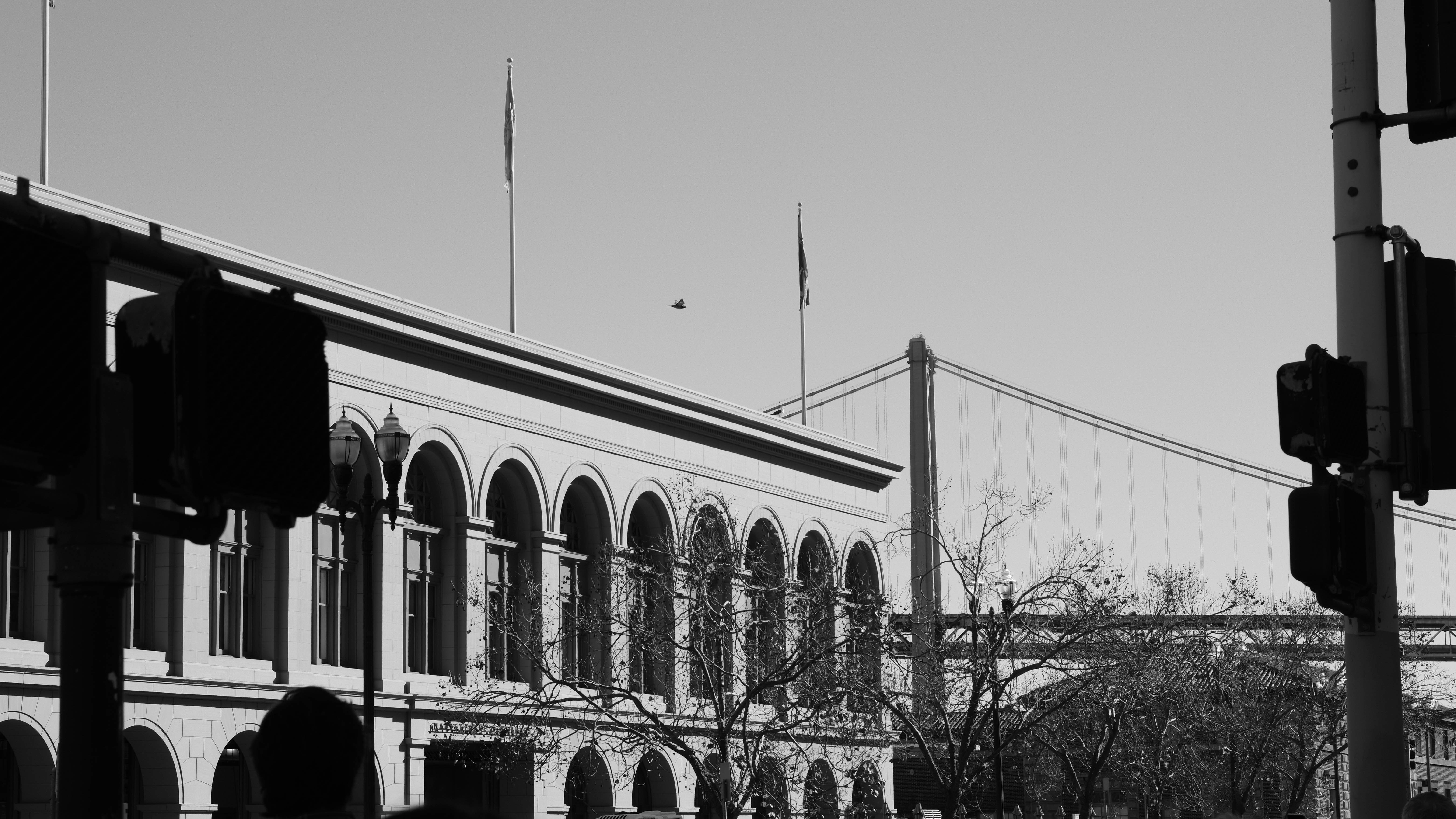 A traffic light is near a building photo – Free Grey Image on Unsplash
