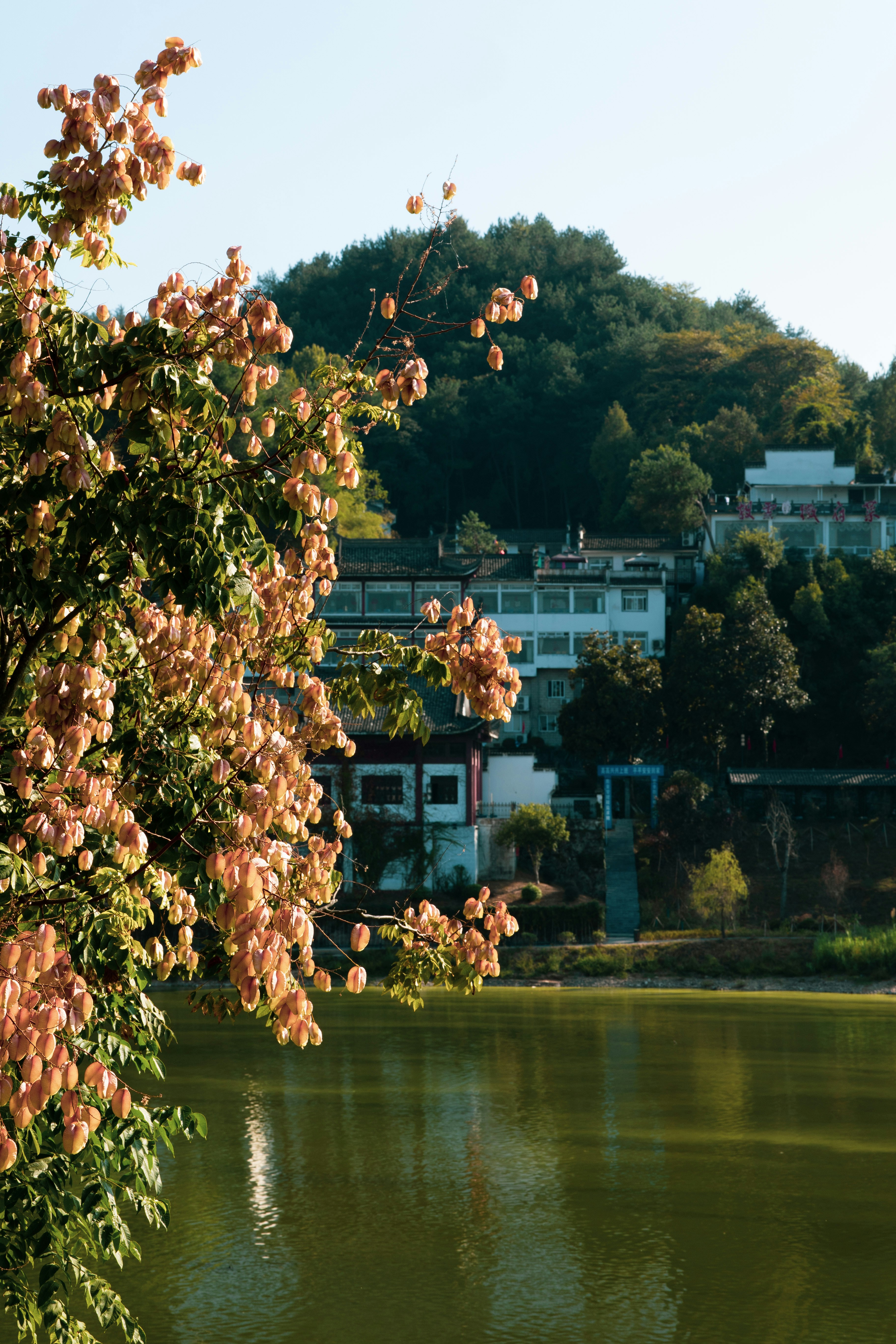 Autumnal Creekside: Peach Blossoms Framing a Quiet Riverside Village