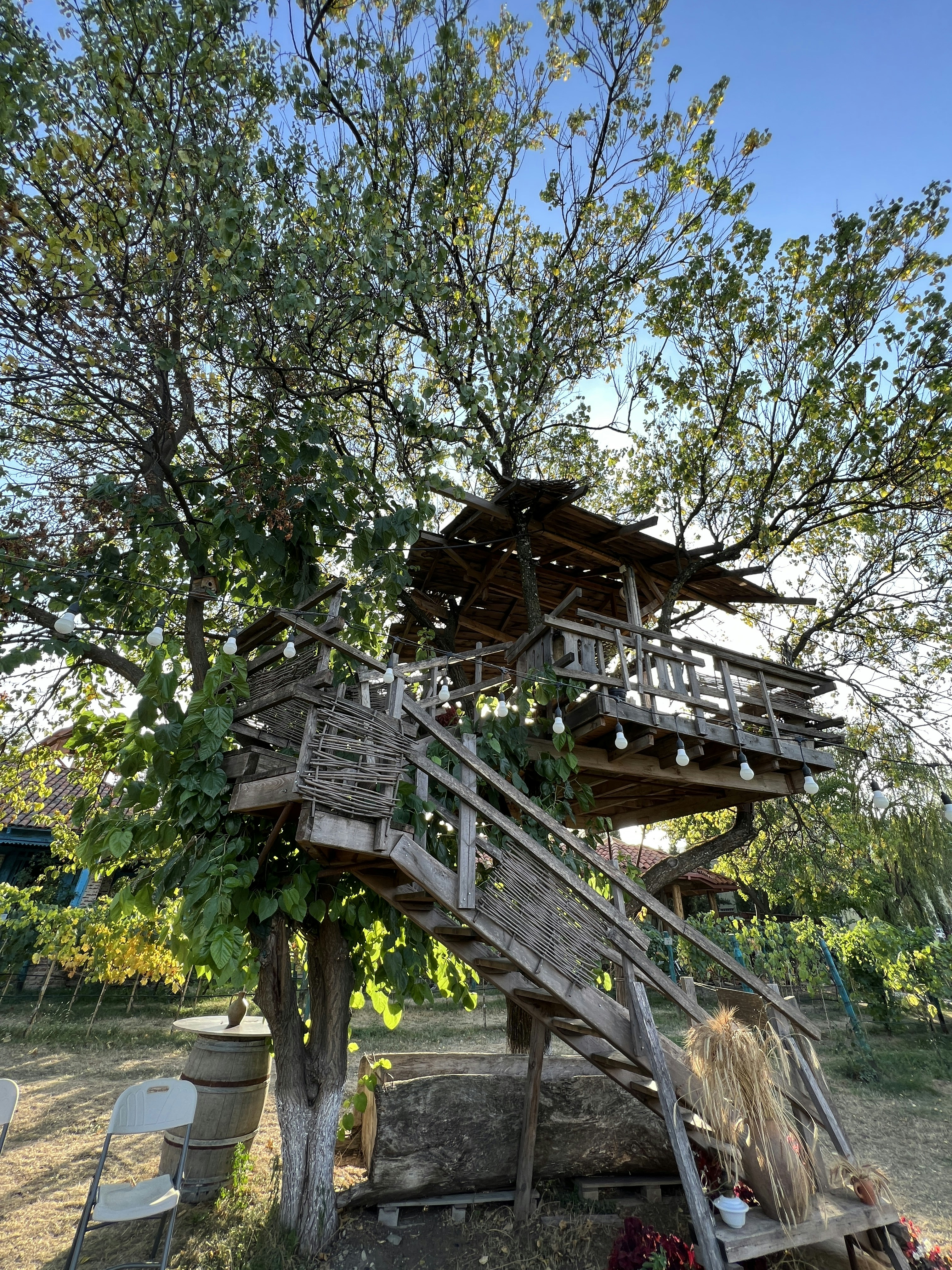 a tree house with a tree in the front