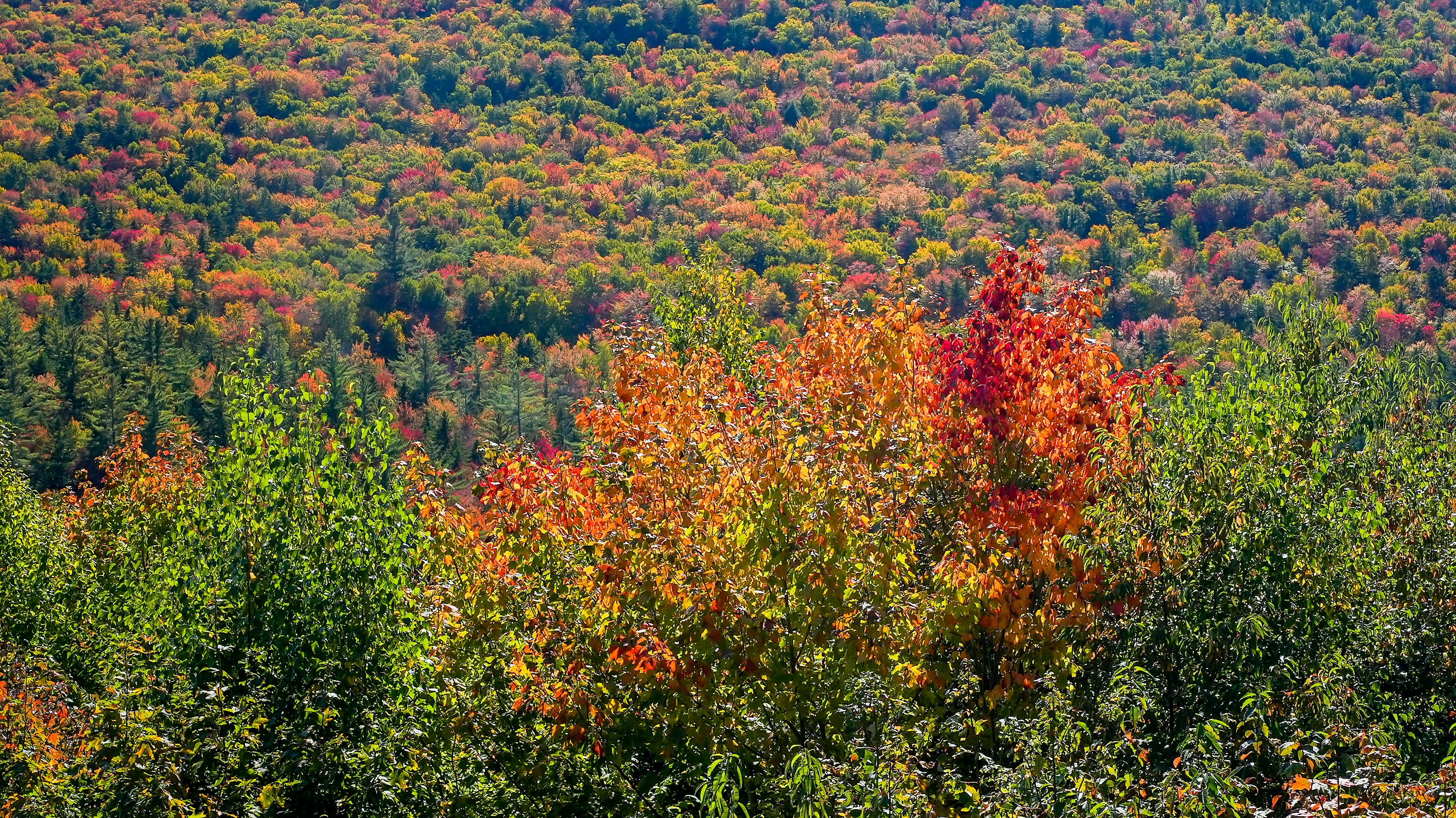 Miro Vrlik (@orim) | Komunitas Foto Unsplash