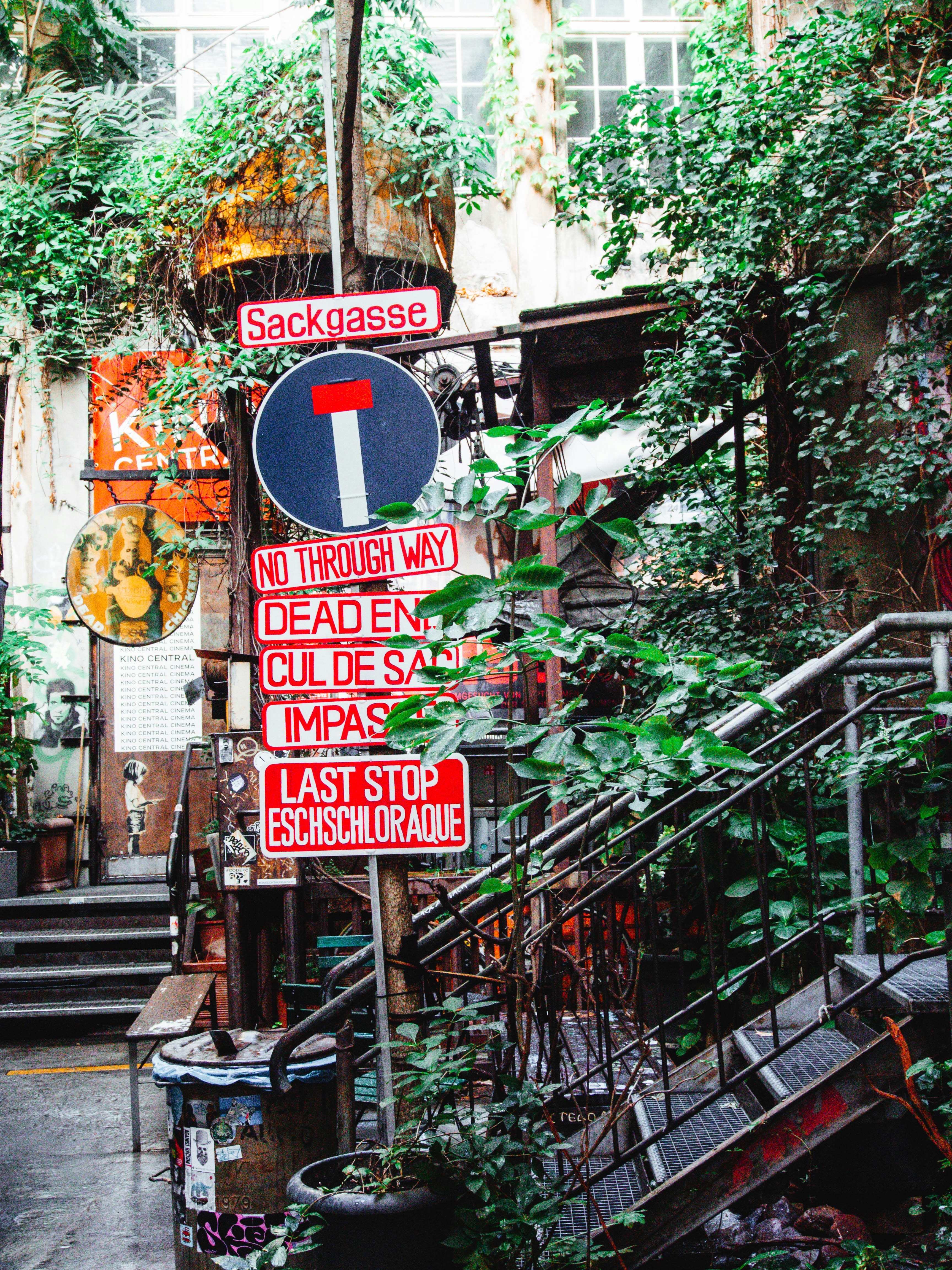 Signpost Junction: A Verdant Labyrinth of Dead-End Warnings