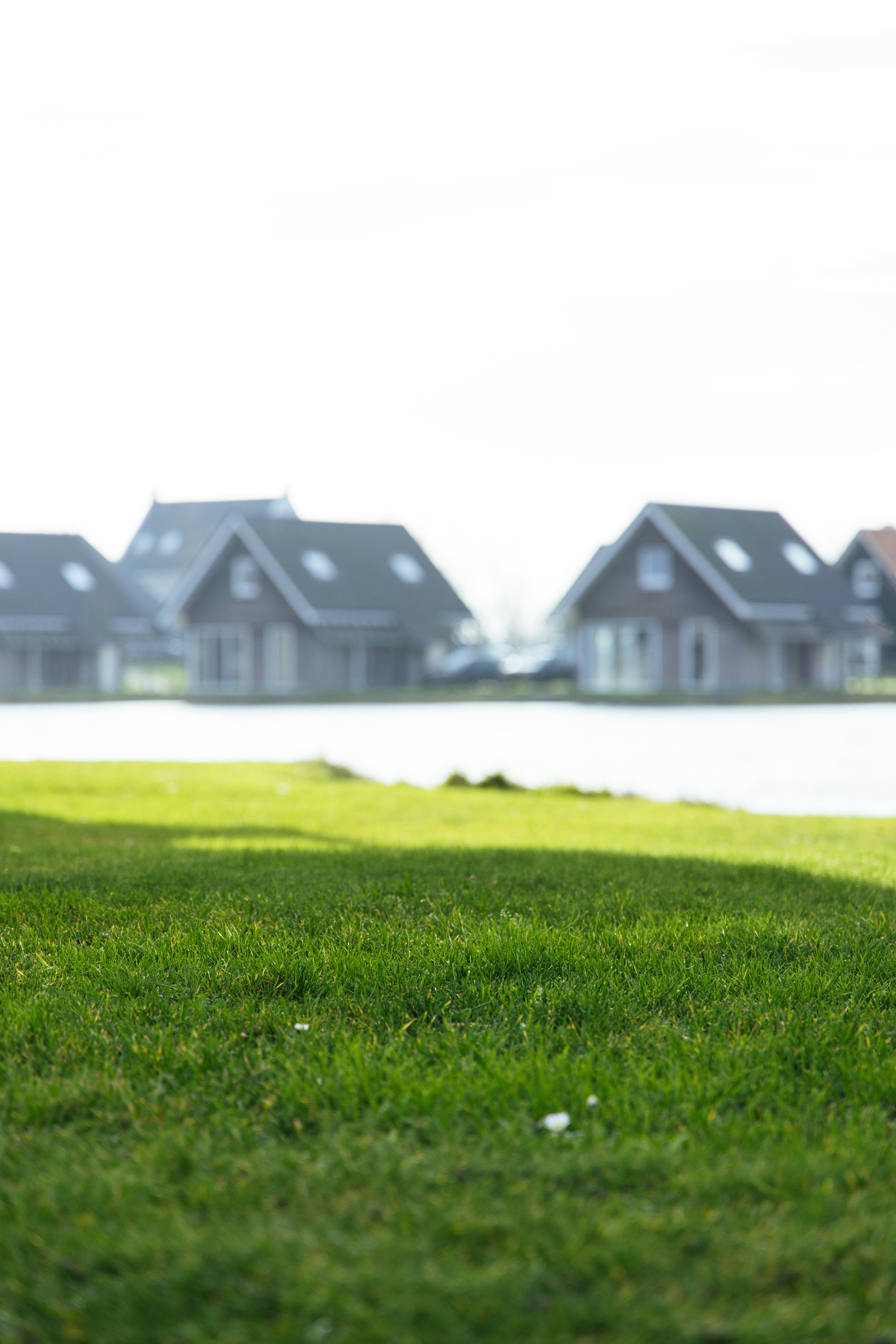 Sunlit green foreground with distant row of modern houses by a lake