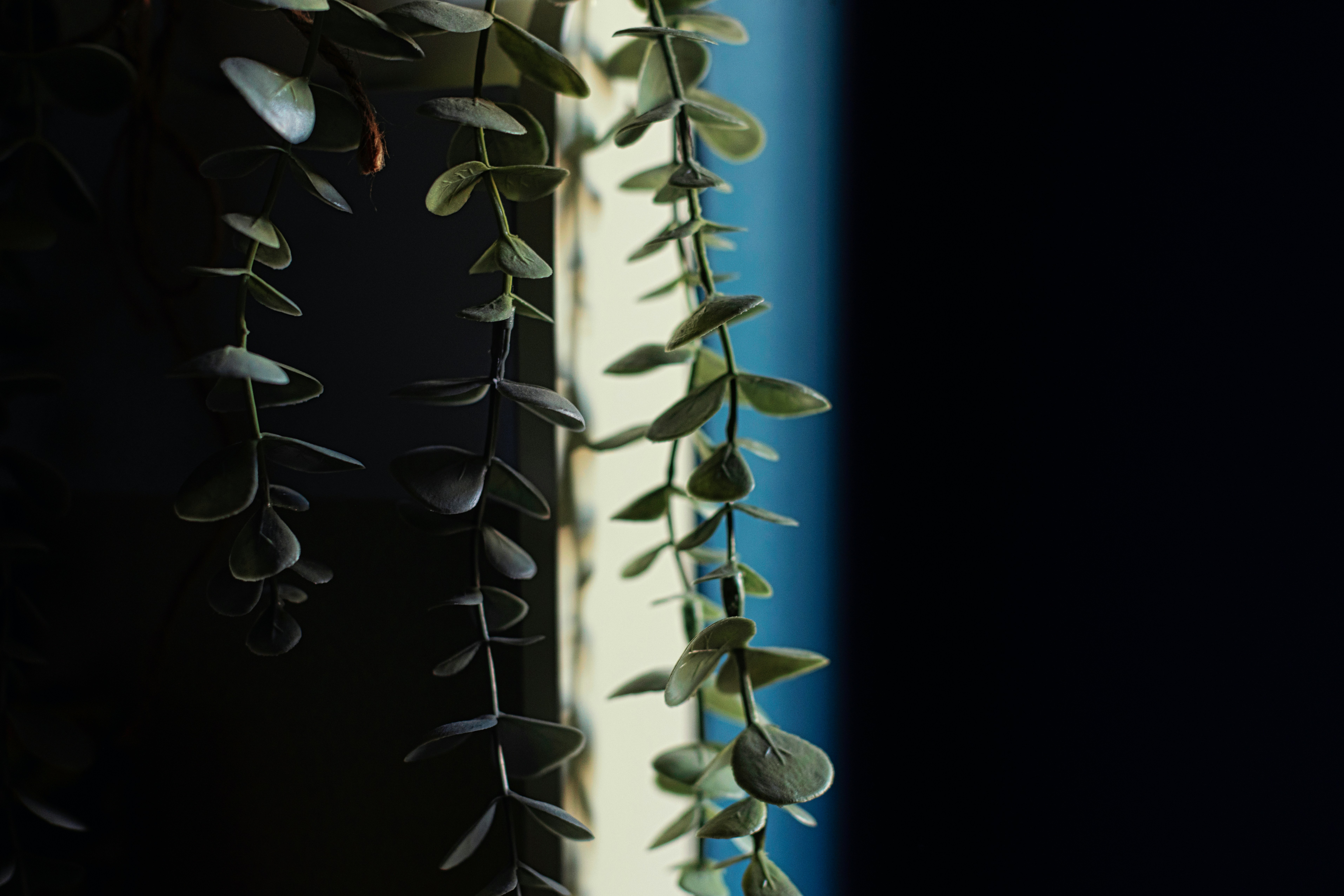 Emerald Beads Along a Sunlit Seam