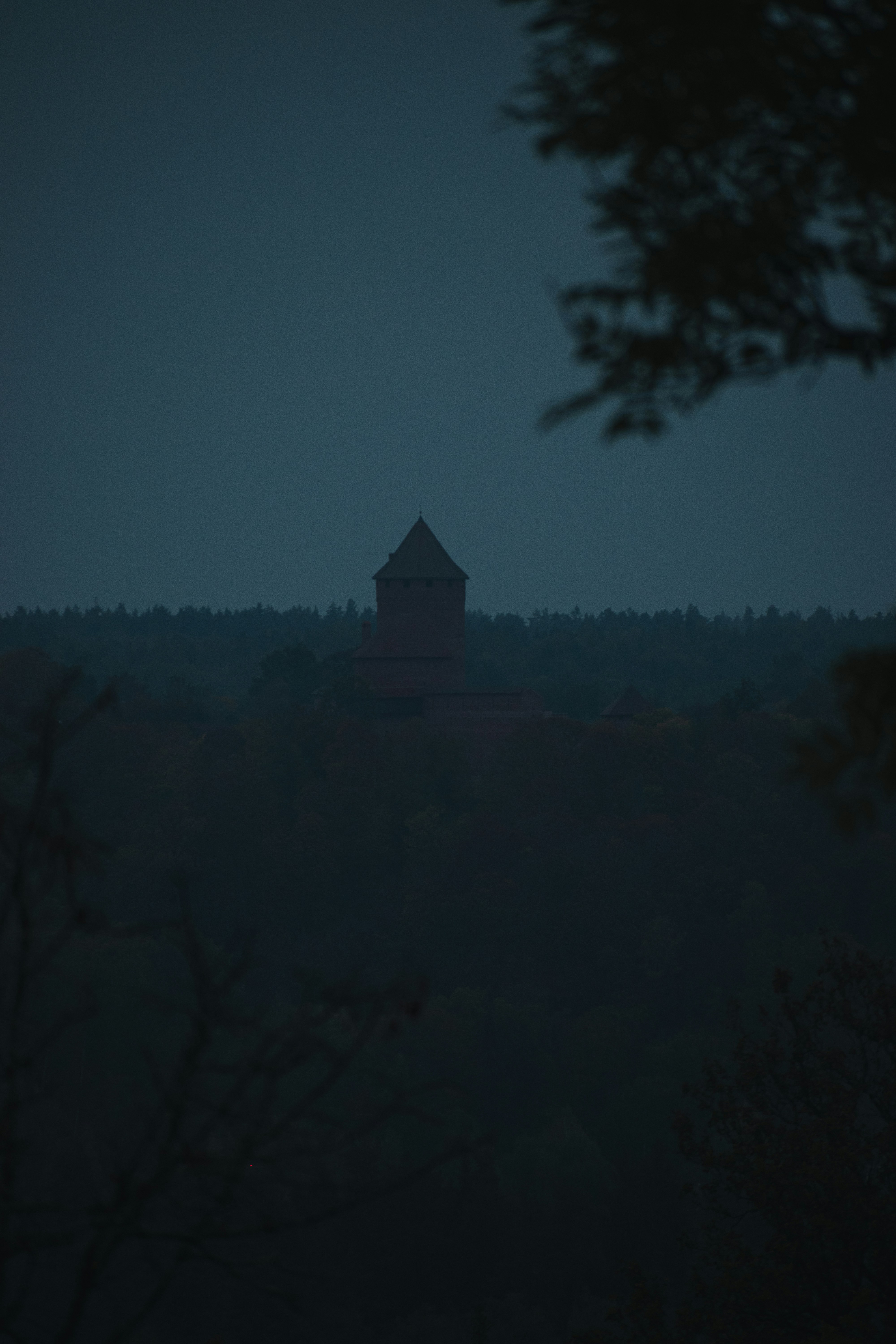 Moonlit Keep: Distant Fortress Tower Rising Through a Blue Hour Forest