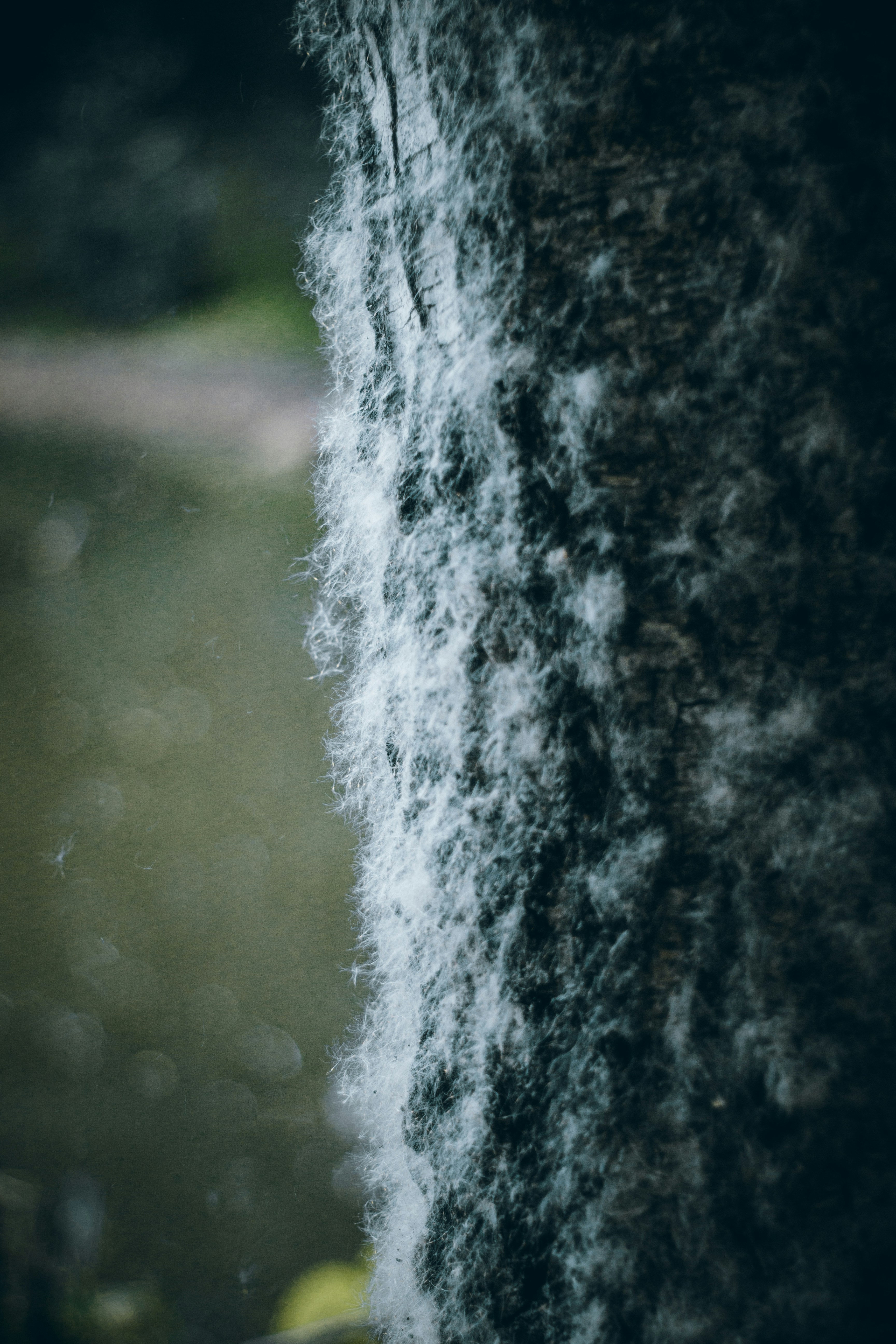 Mist-Laced Cascade: A Close-Up of Volume and Texture