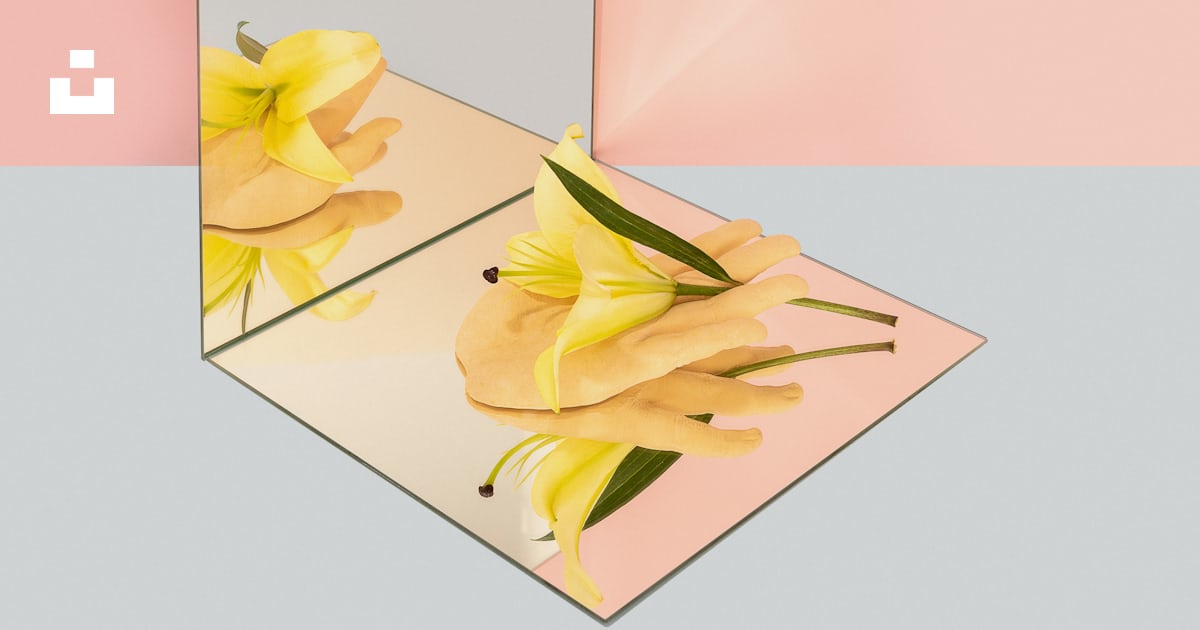 꽃 몇 개 사진 Unsplash의 무료 정물 이미지