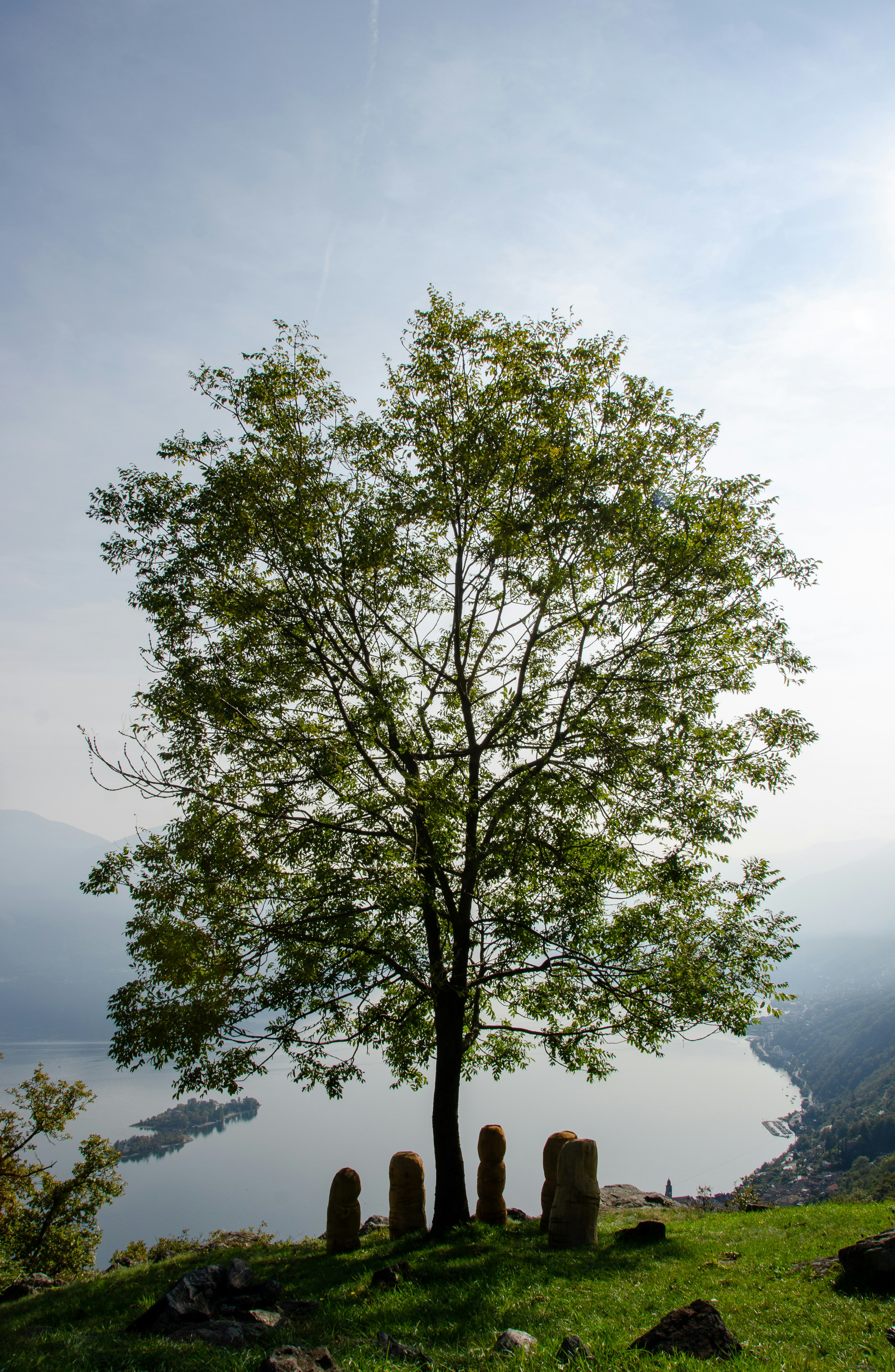 The Lone Tree and the Ring of Stones Over a Misty Lake