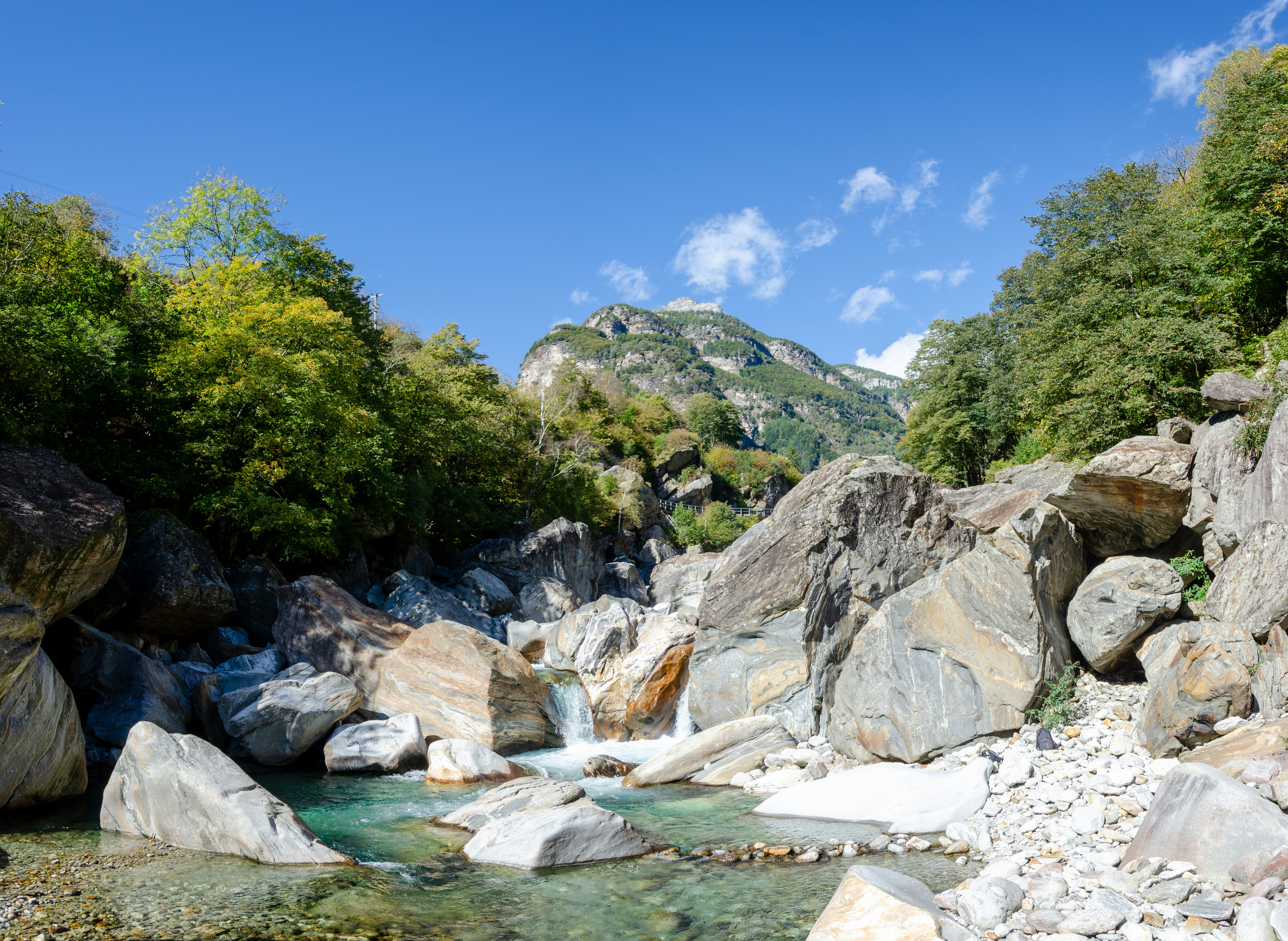 Foto Un río con rocas y árboles – Imagen Suiza gratis en Unsplash