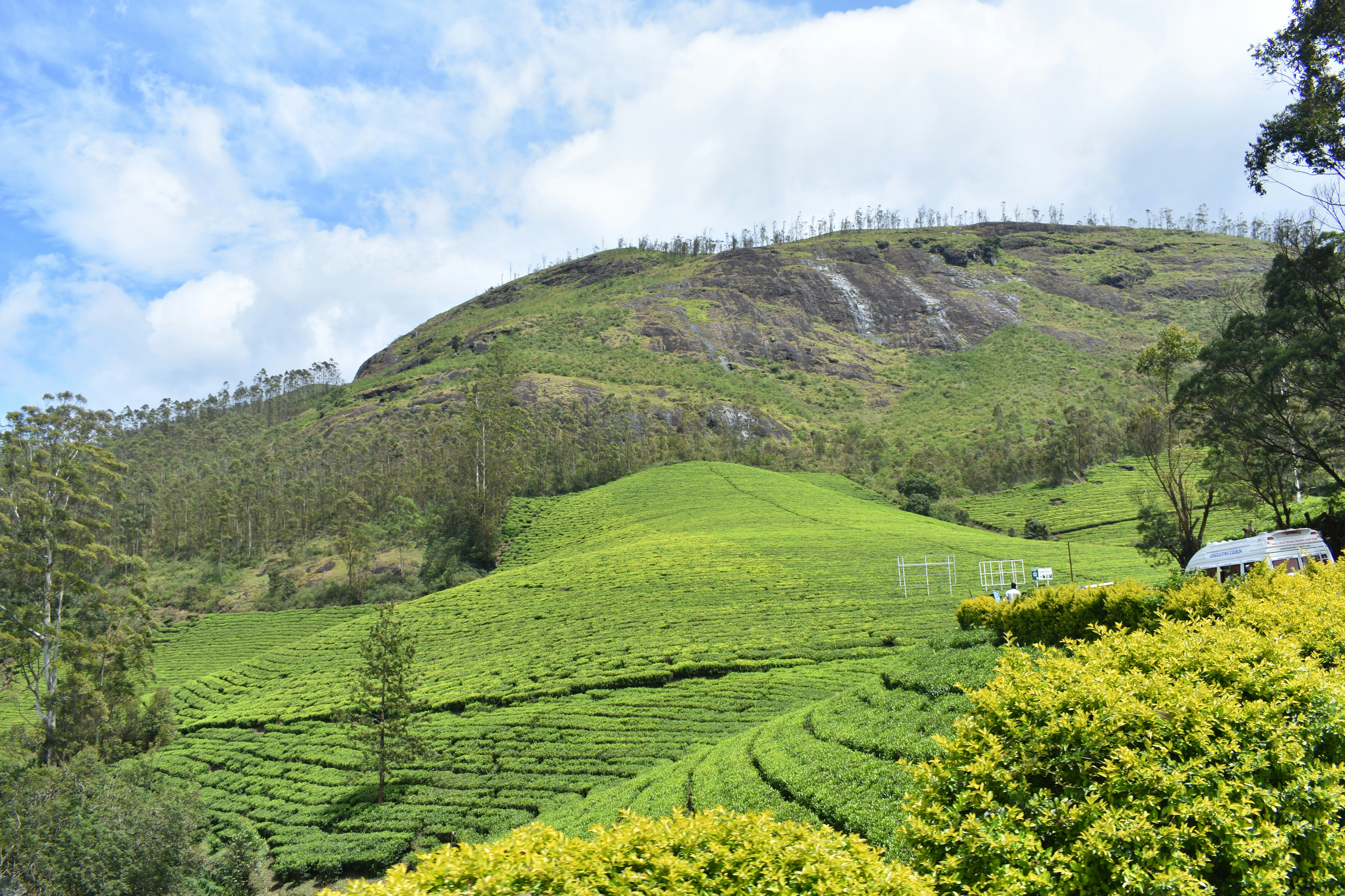 Wonderful Munnar Trip